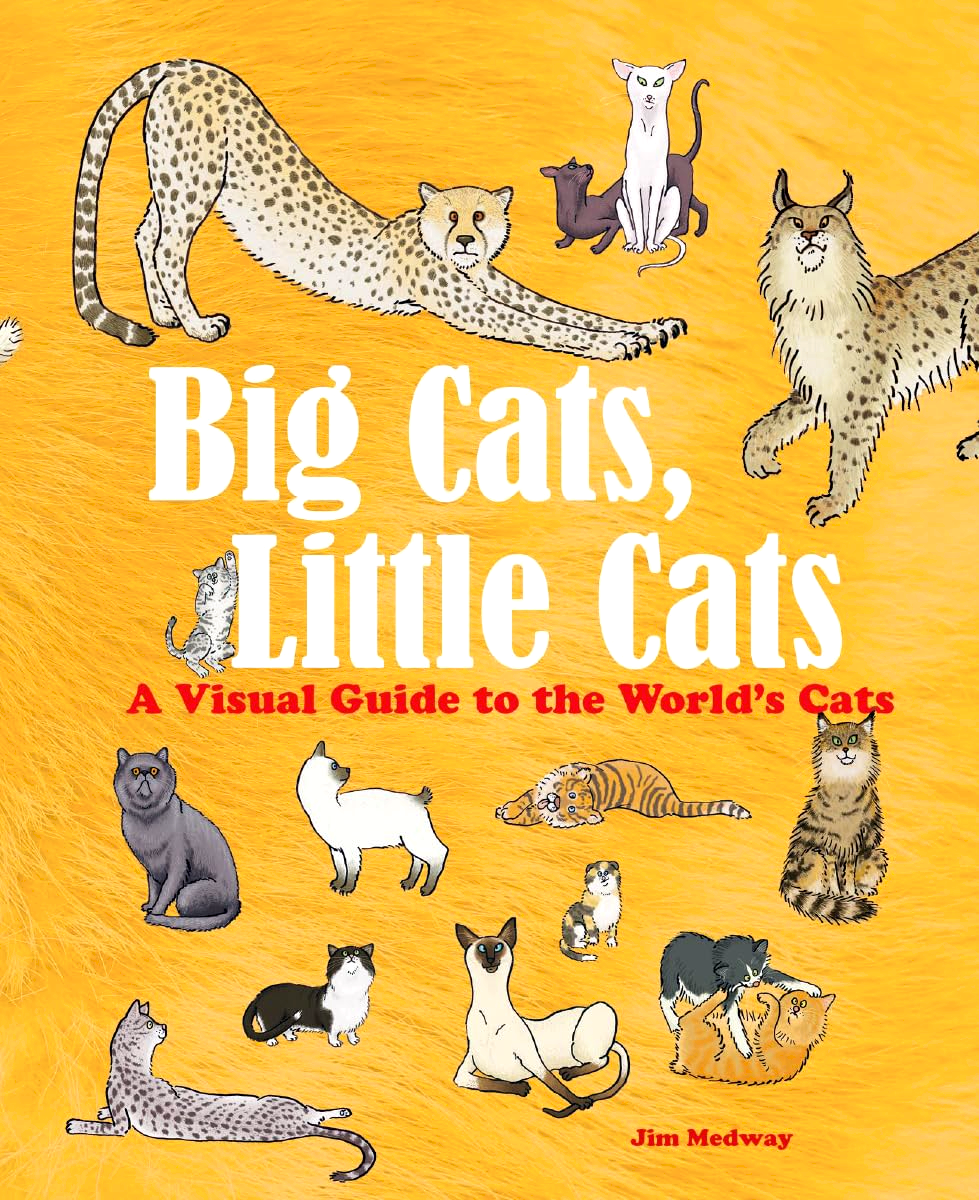 Big Cats, Little Cats: A Visual Guide To The World's Cats – BookXcess