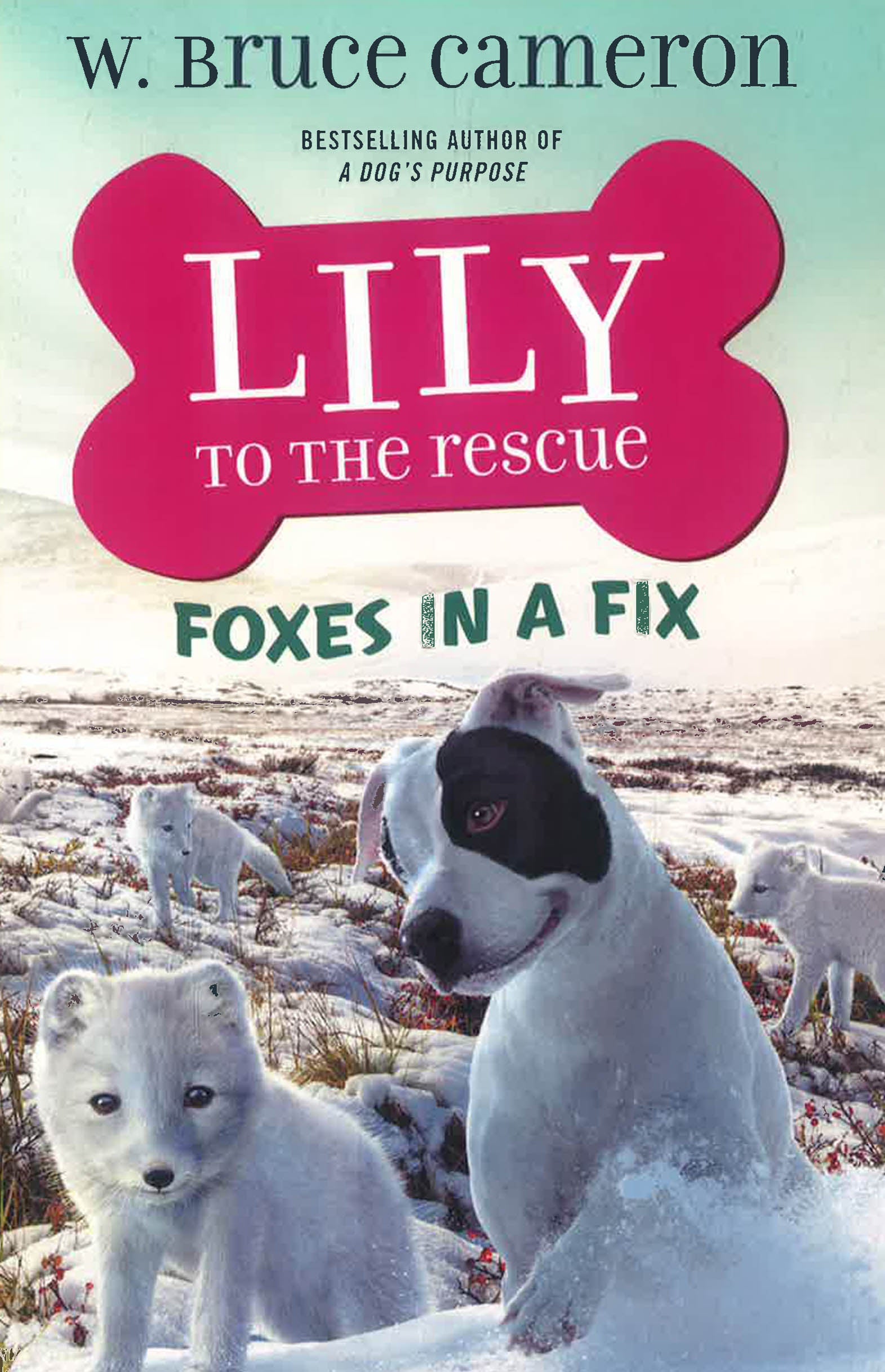 Lily To The Rescue: Foxes In A Fix – BookXcess