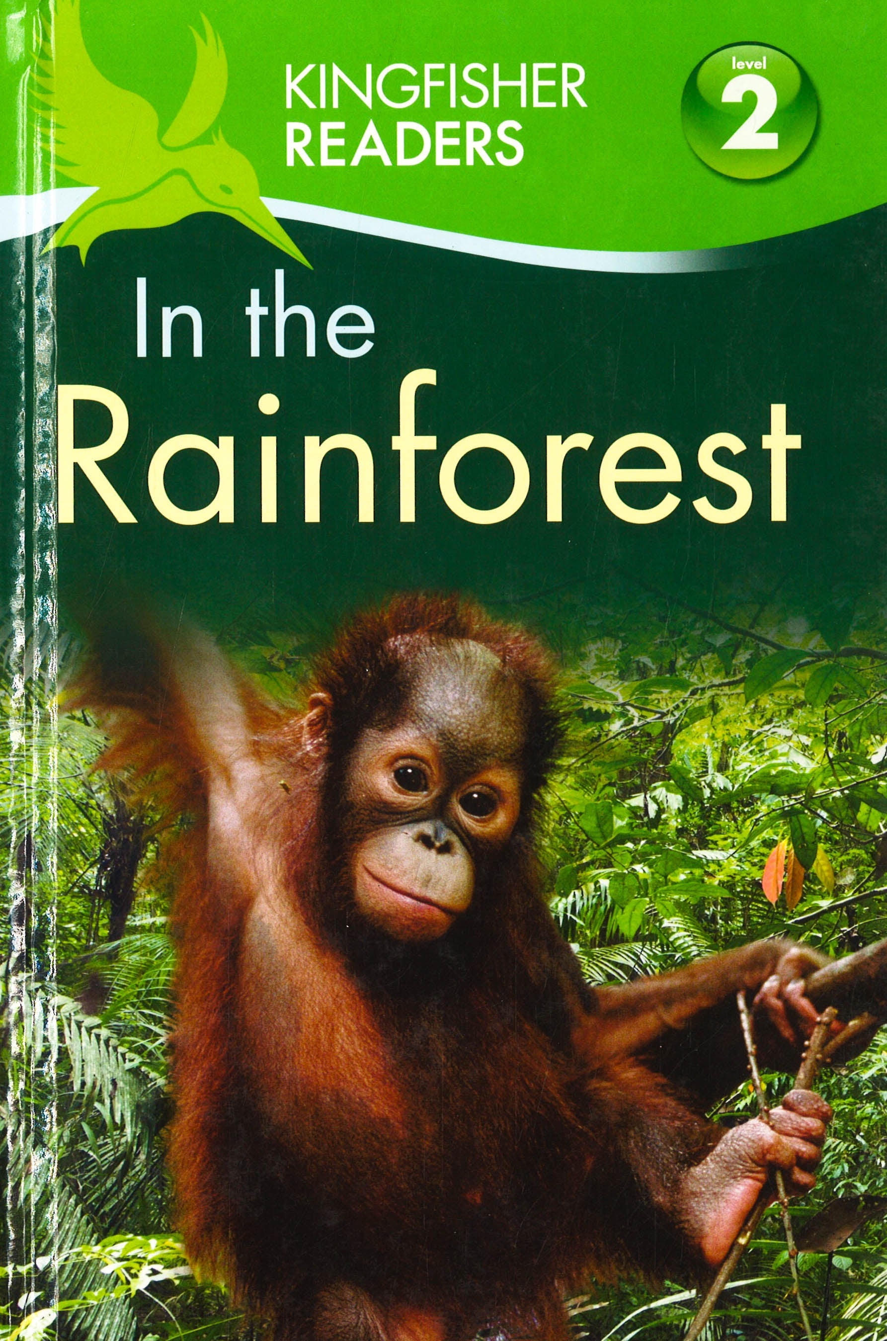 In The Rainforest – BookXcess
