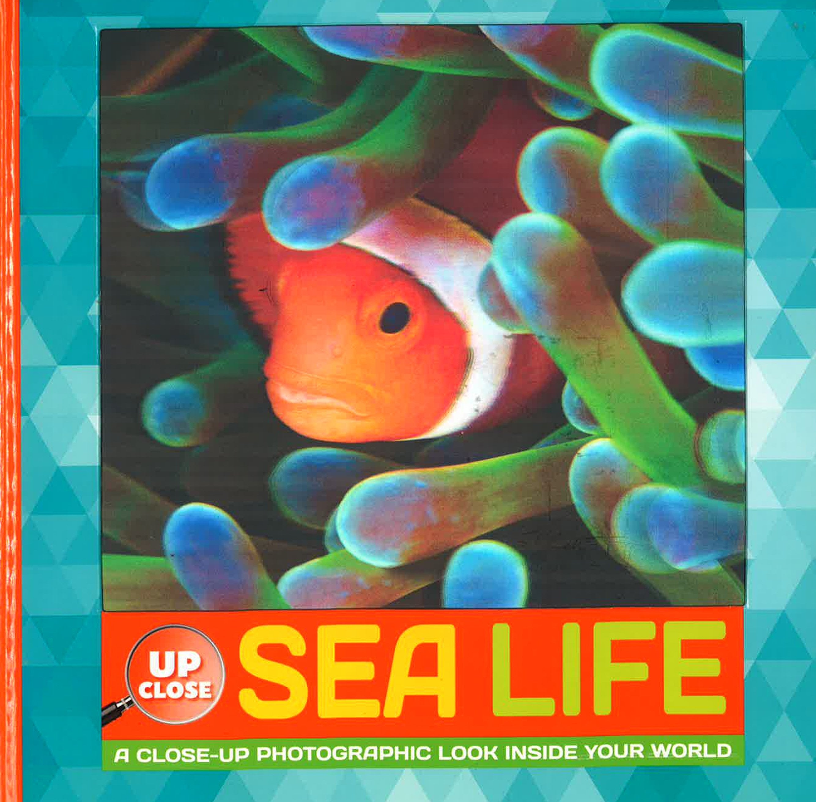 Up Close Sea Life – BookXcess