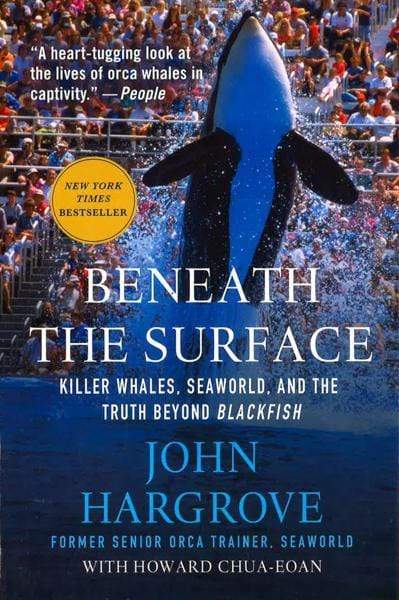 Beneath The Surface – BookXcess