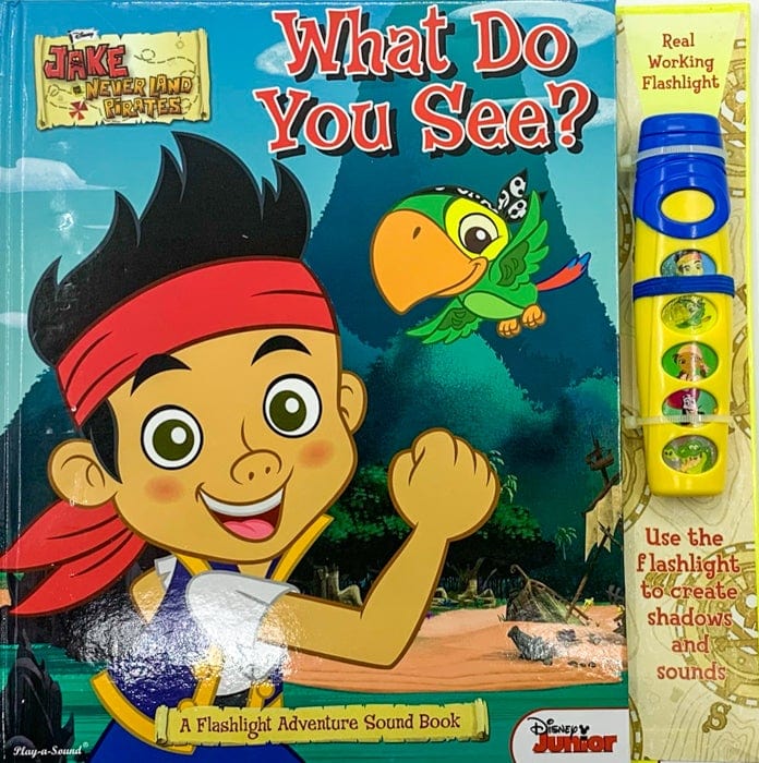 Disney Jake And The Neverland Pirates: What Do You See? – BookXcess
