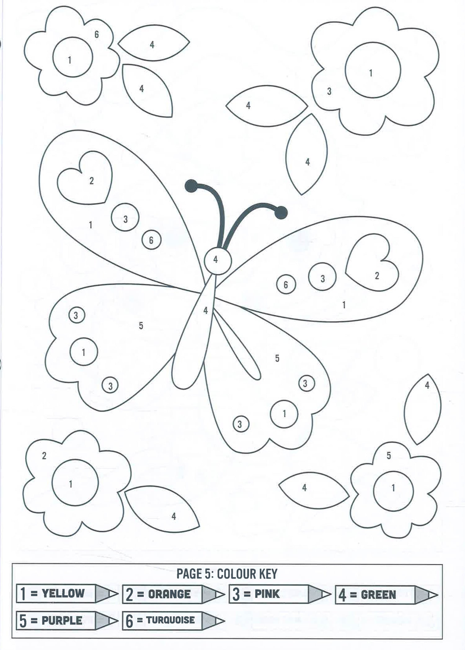 Magical Colour By Numbers – BookXcess