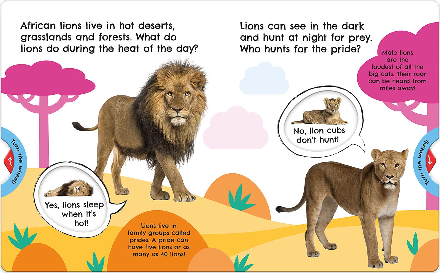 First Facts Big Cats – BookXcess