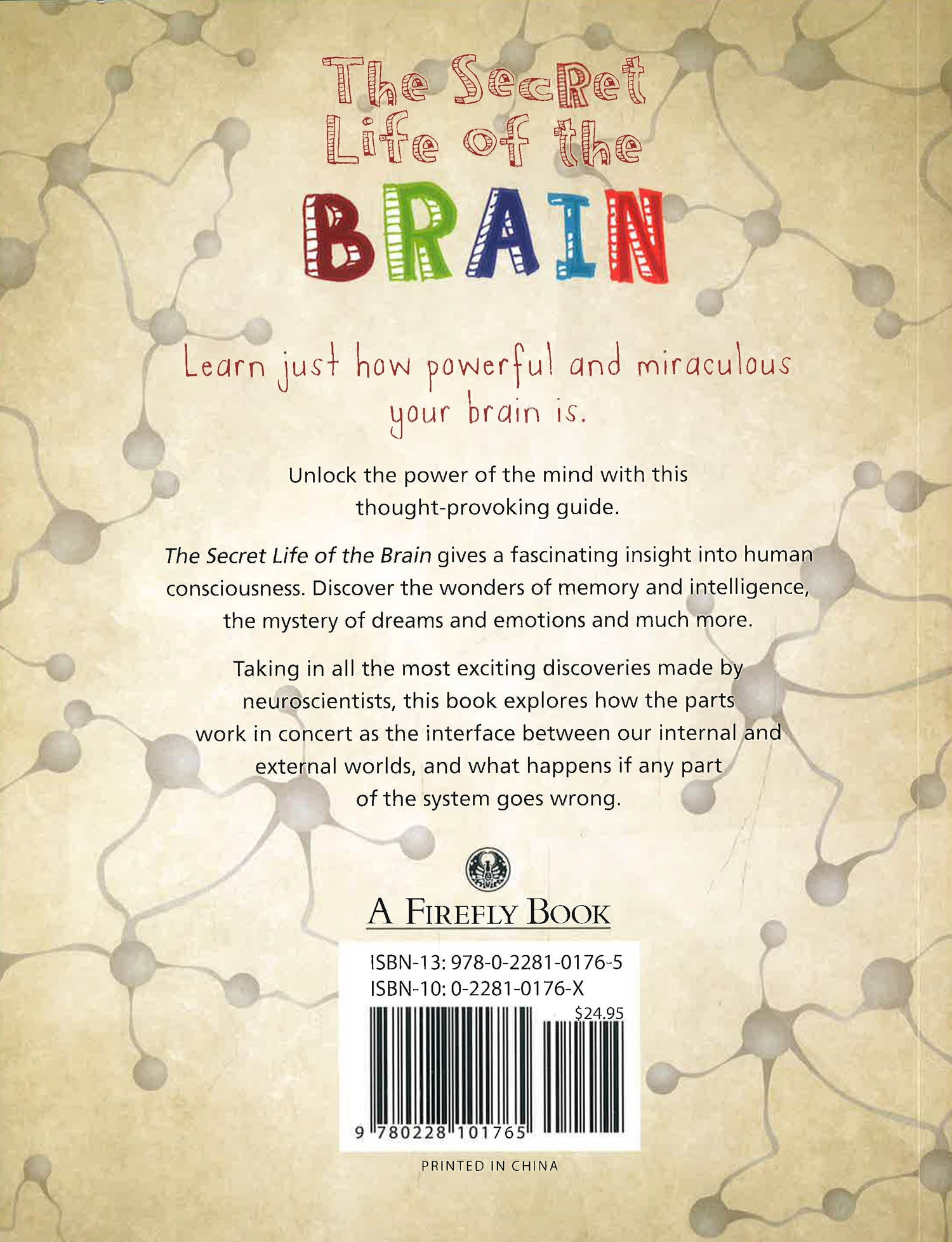 The Secret Life Of The Brain – BookXcess