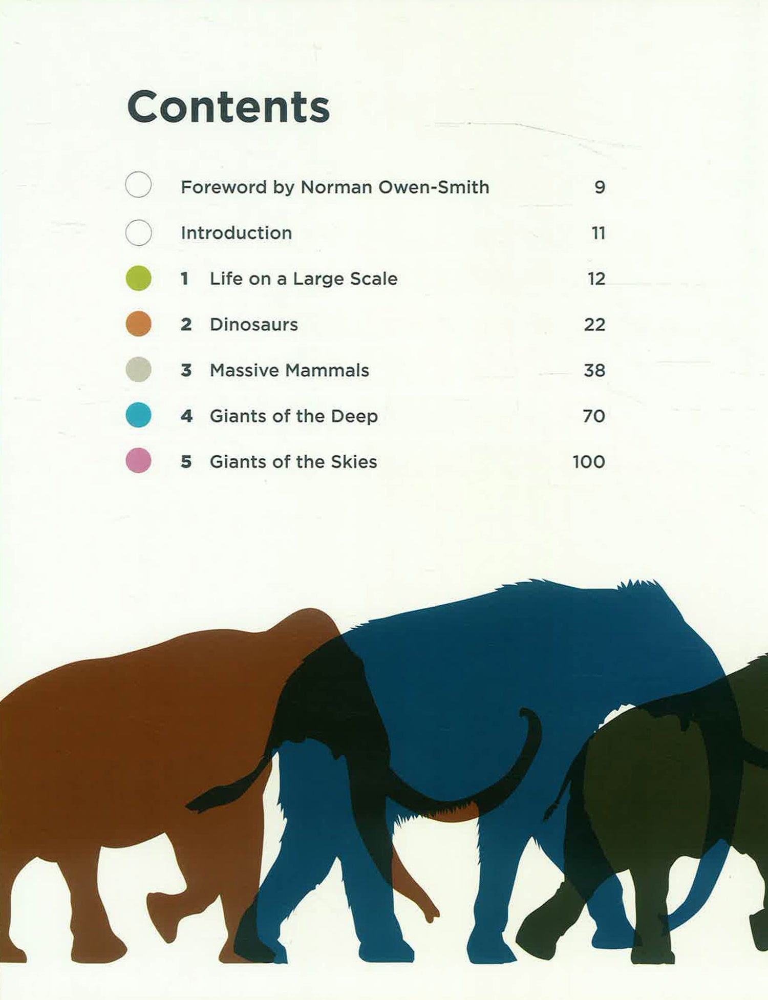 Nature's Giants: The Biology and Evolution of the World's Largest Life ...