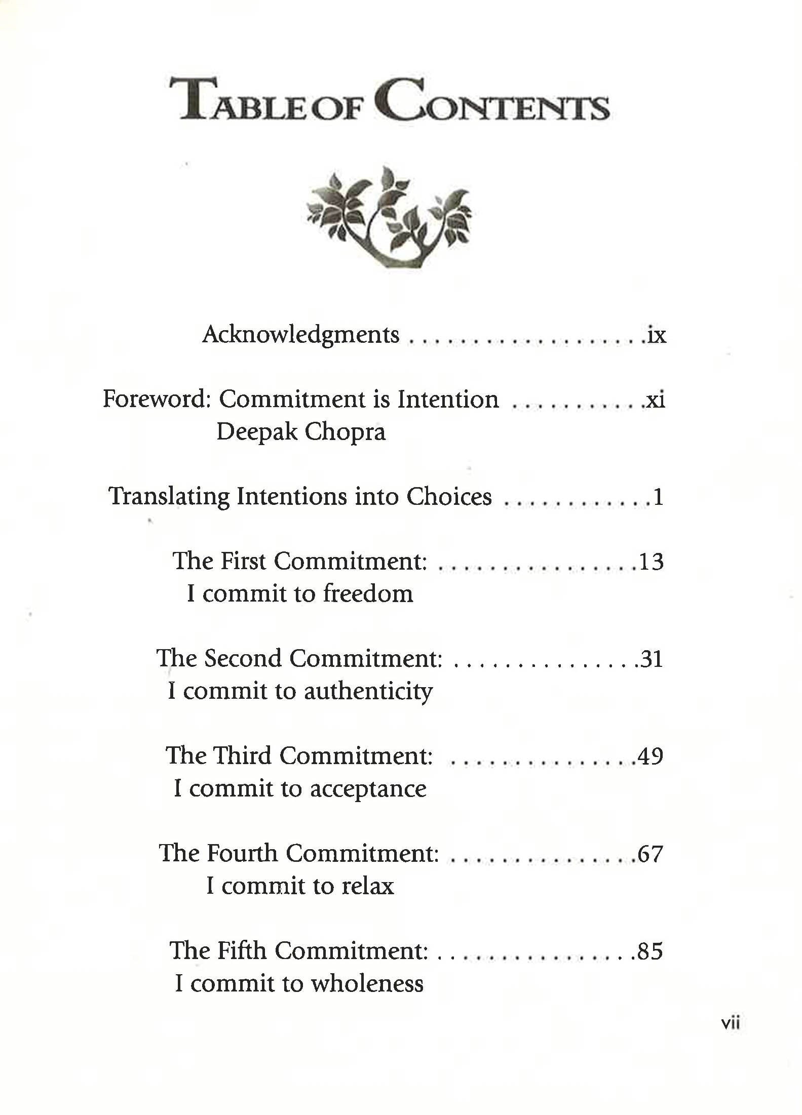 The Ten Commitments – BookXcess