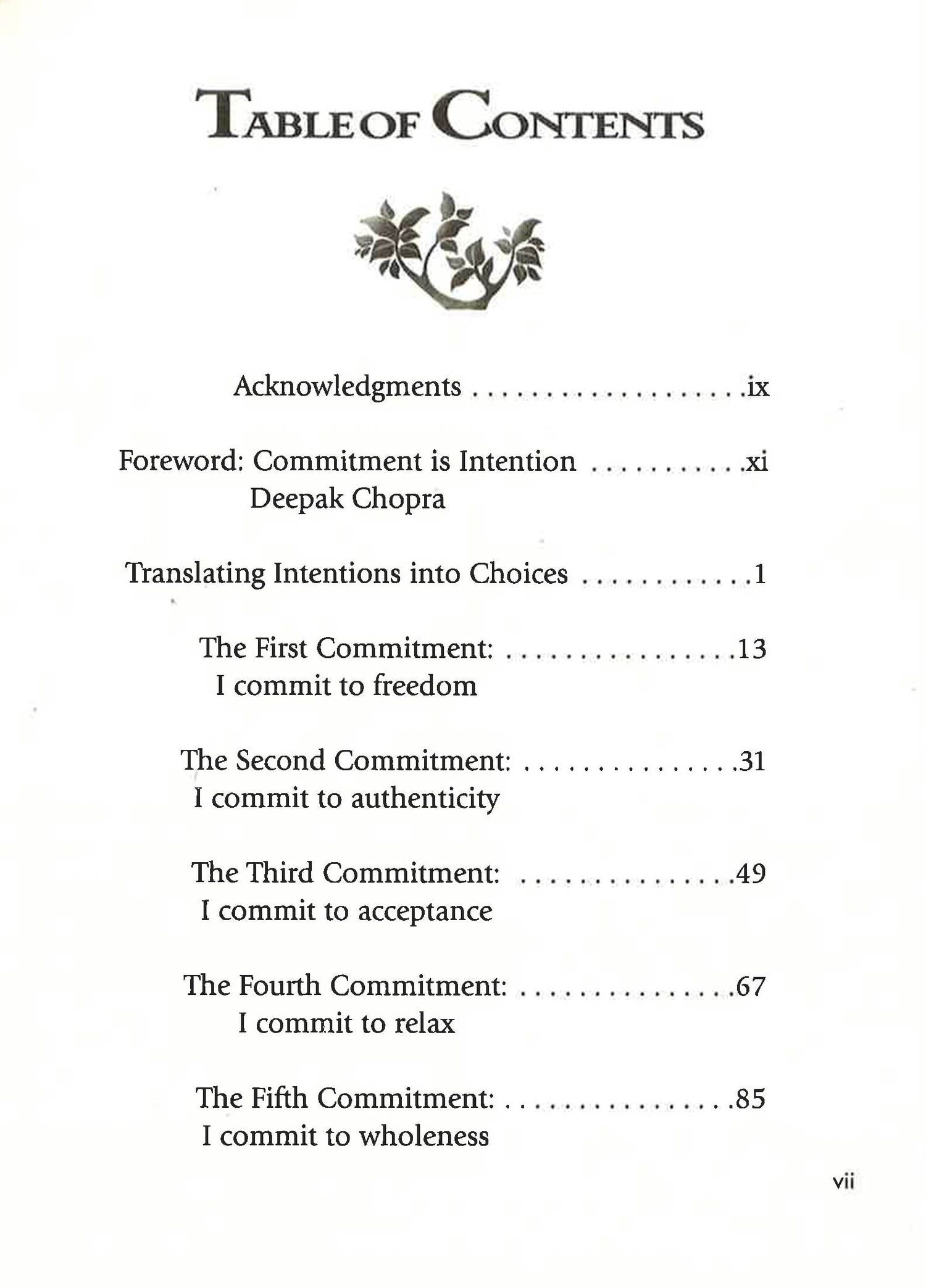 The Ten Commitments – BookXcess