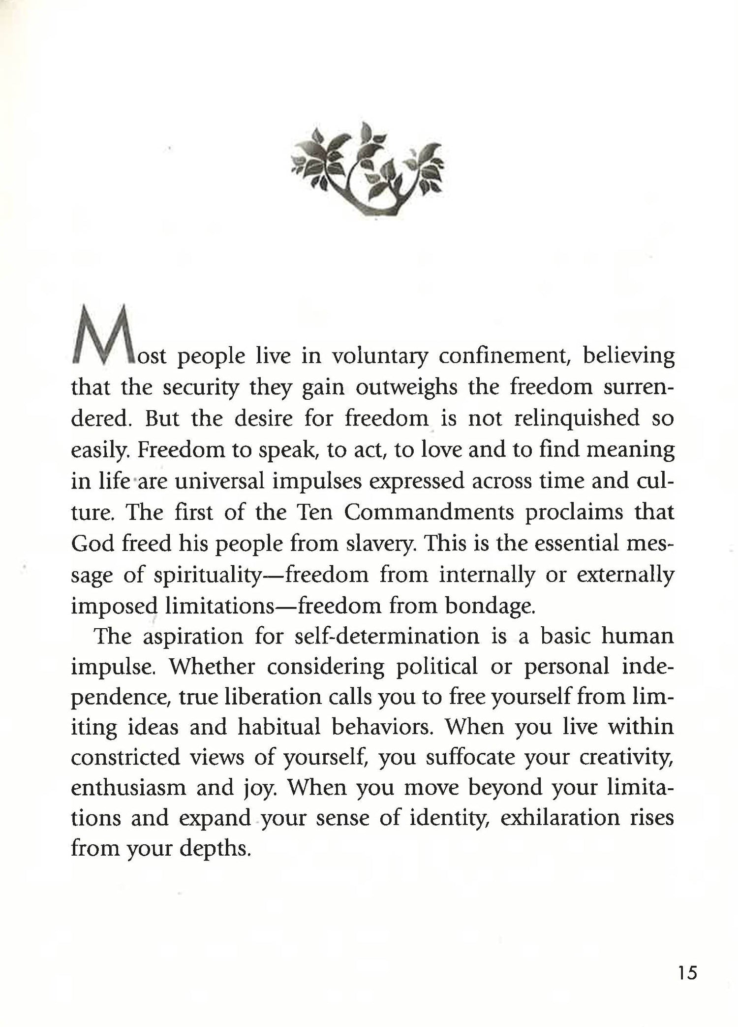 The Ten Commitments – BookXcess