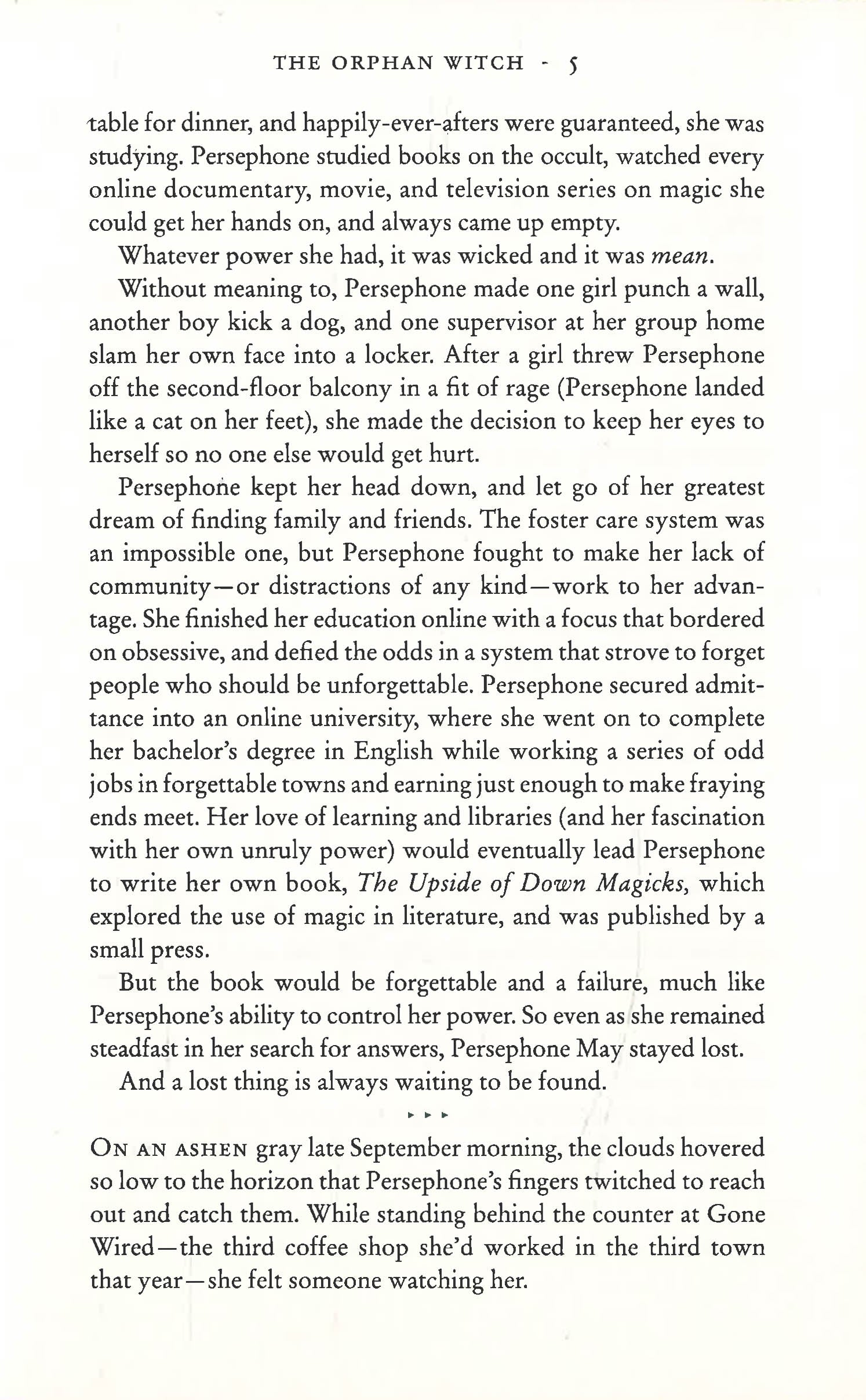 The Orphan Witch: A Novel – BookXcess