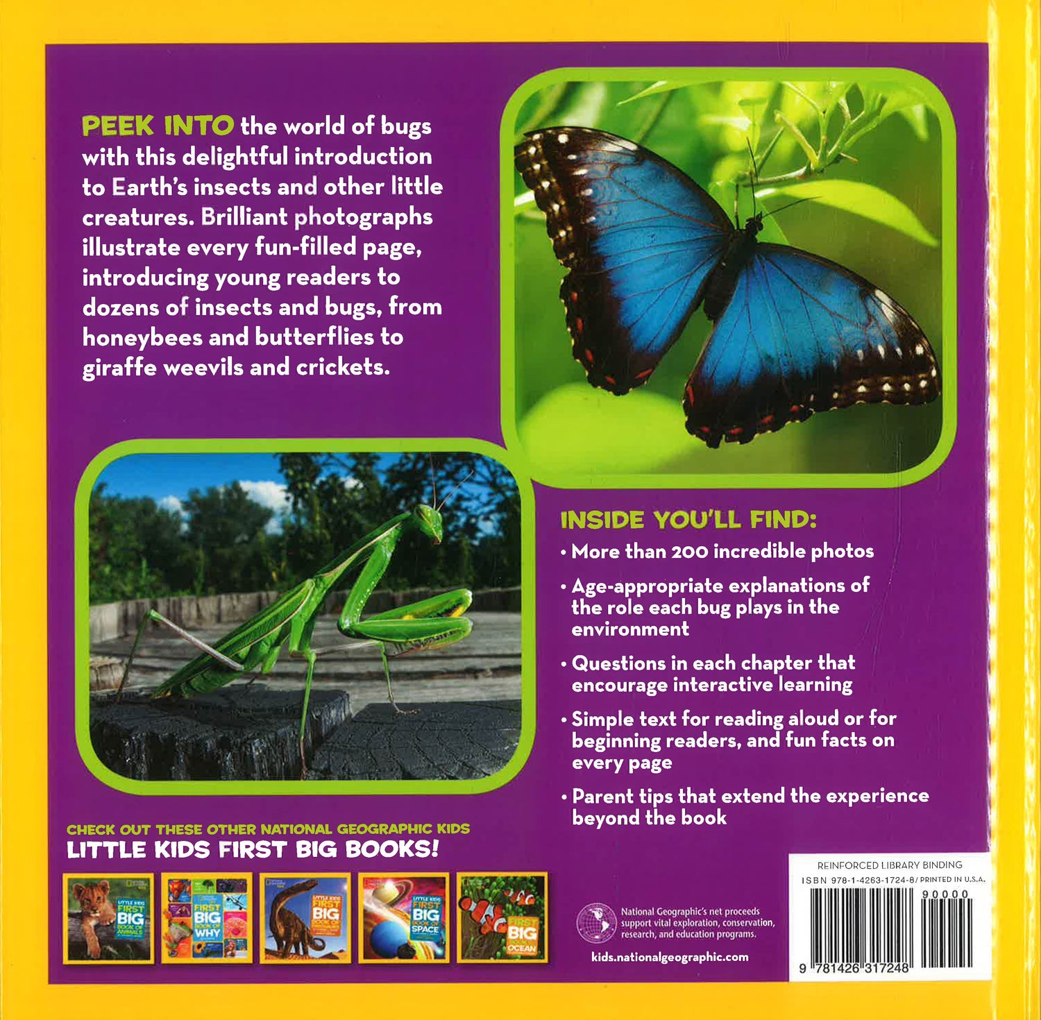 National Geographic Little Kids First Big Book of Bugs – BookXcess