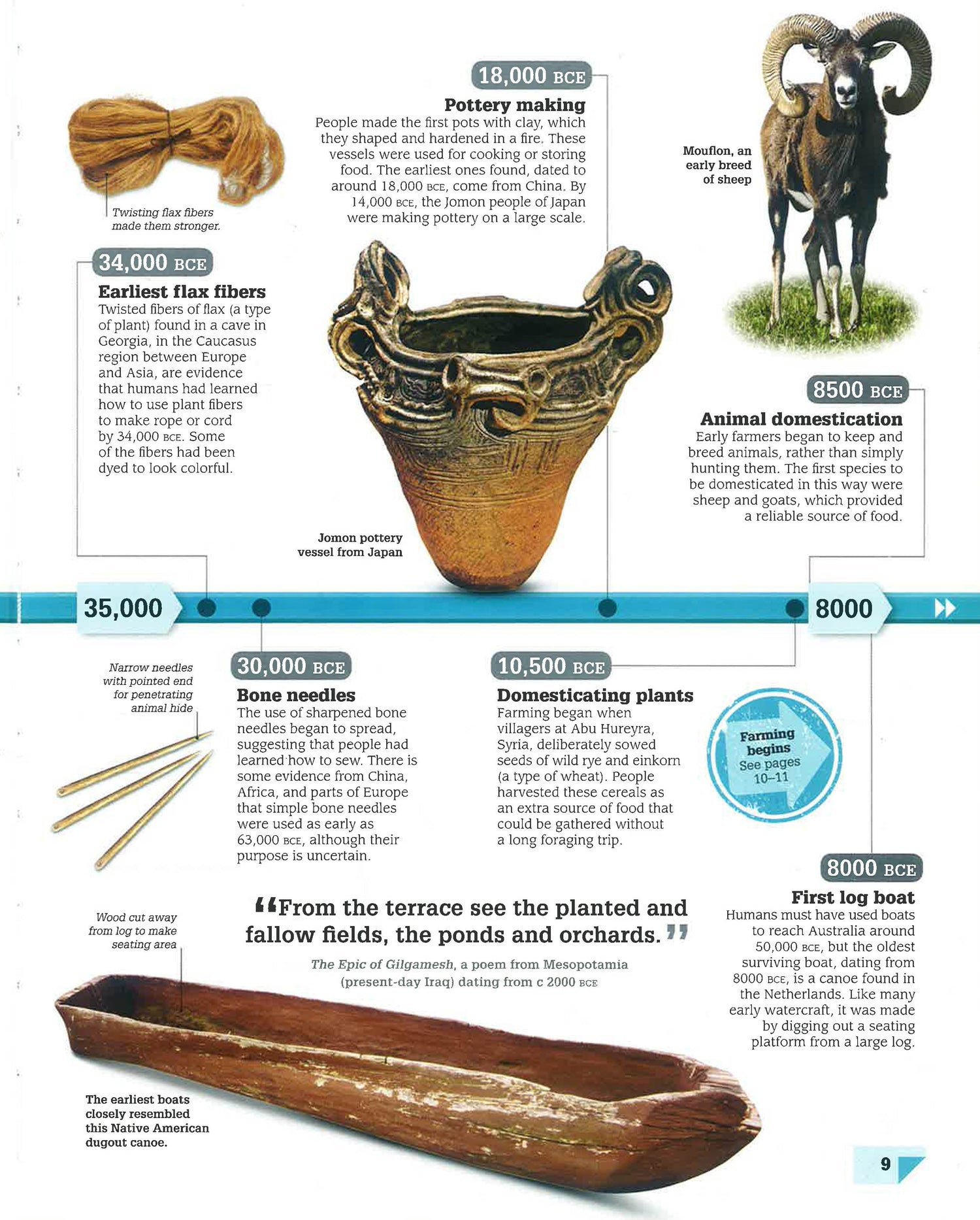 Science Year By Year: A Visual History, From Stone Tools To Space Trav ...