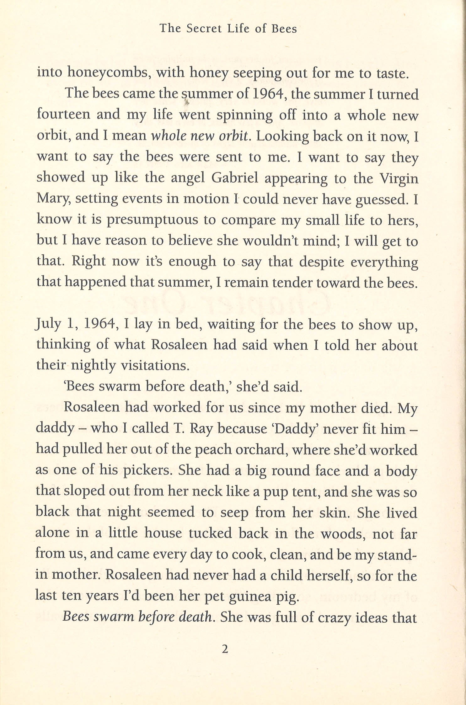 THE SECRET LIFE OF BEES – BookXcess