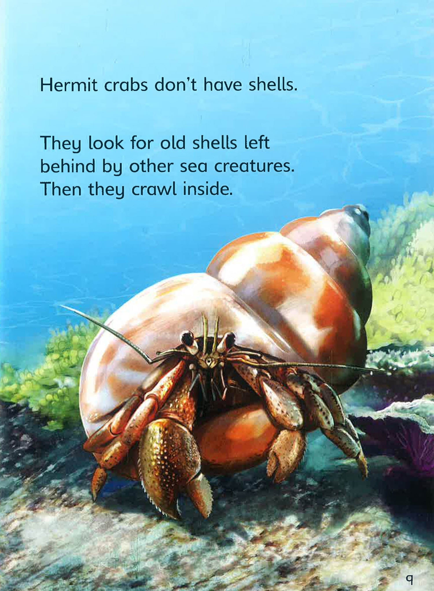 Usborne Beginners: On The Beach – BookXcess