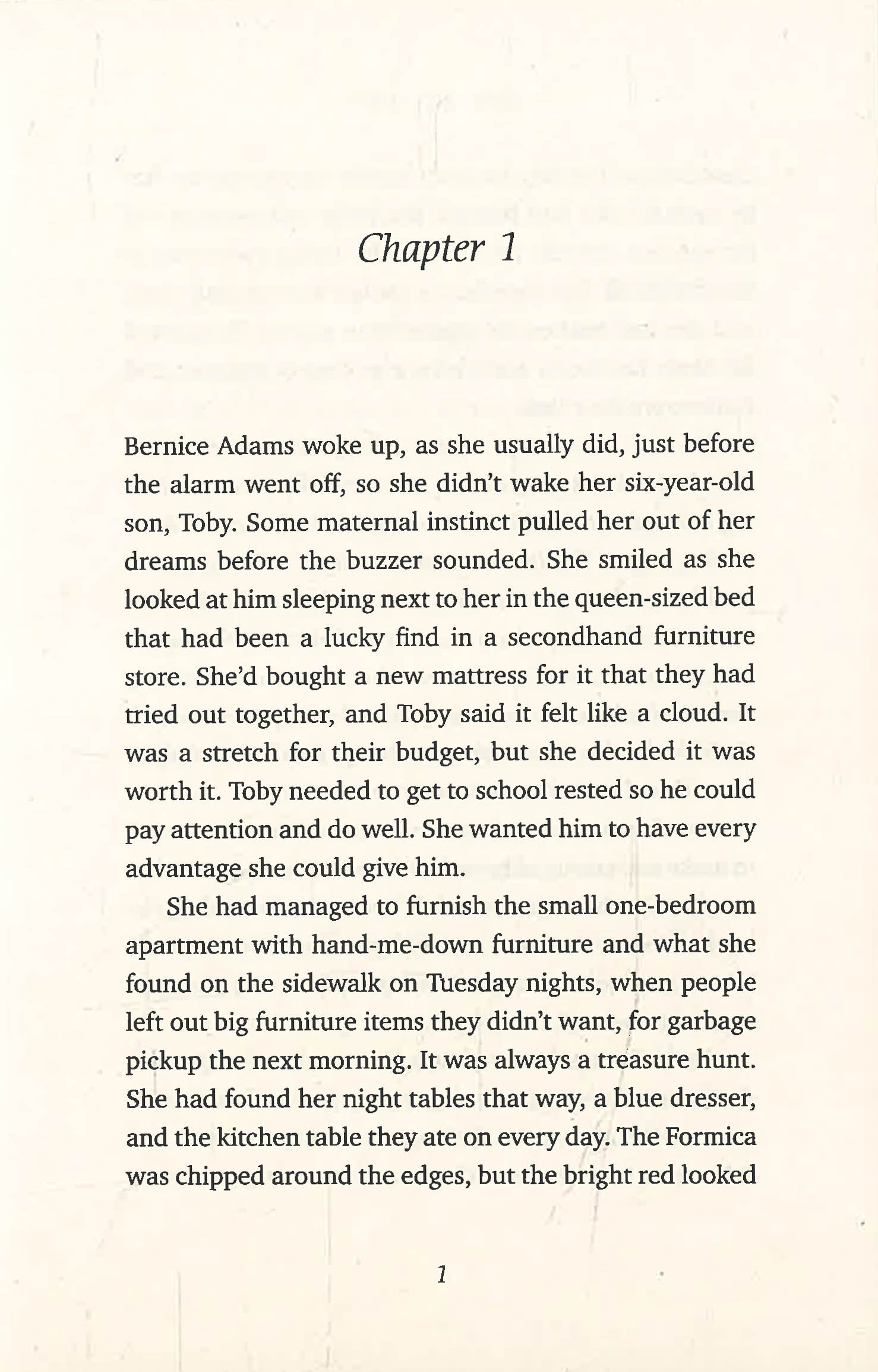 Accidental Heroes – BookXcess