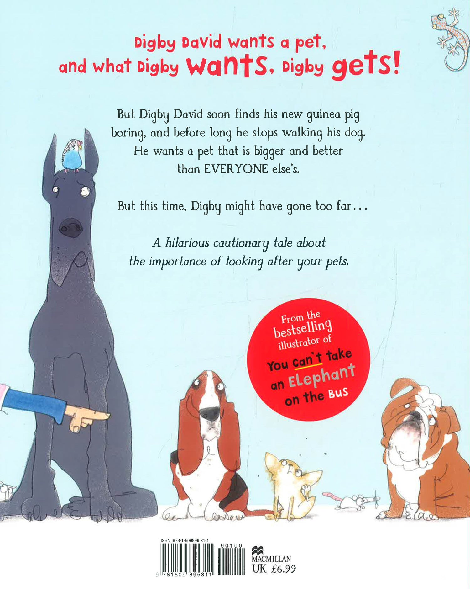 Pet: Cautionary Tales For Children & Grown-Ups – BookXcess