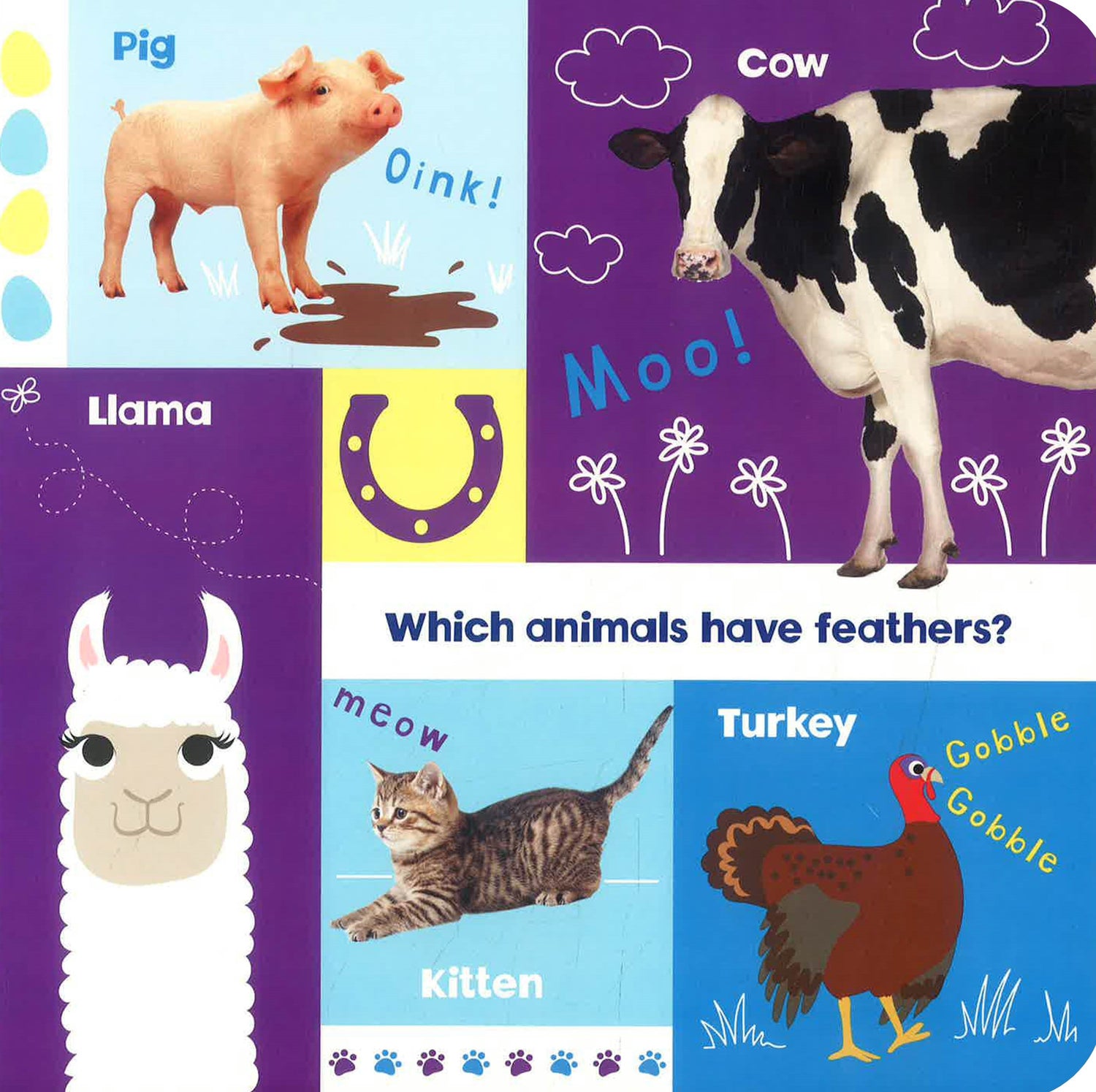 Look And Learn Animals – BookXcess