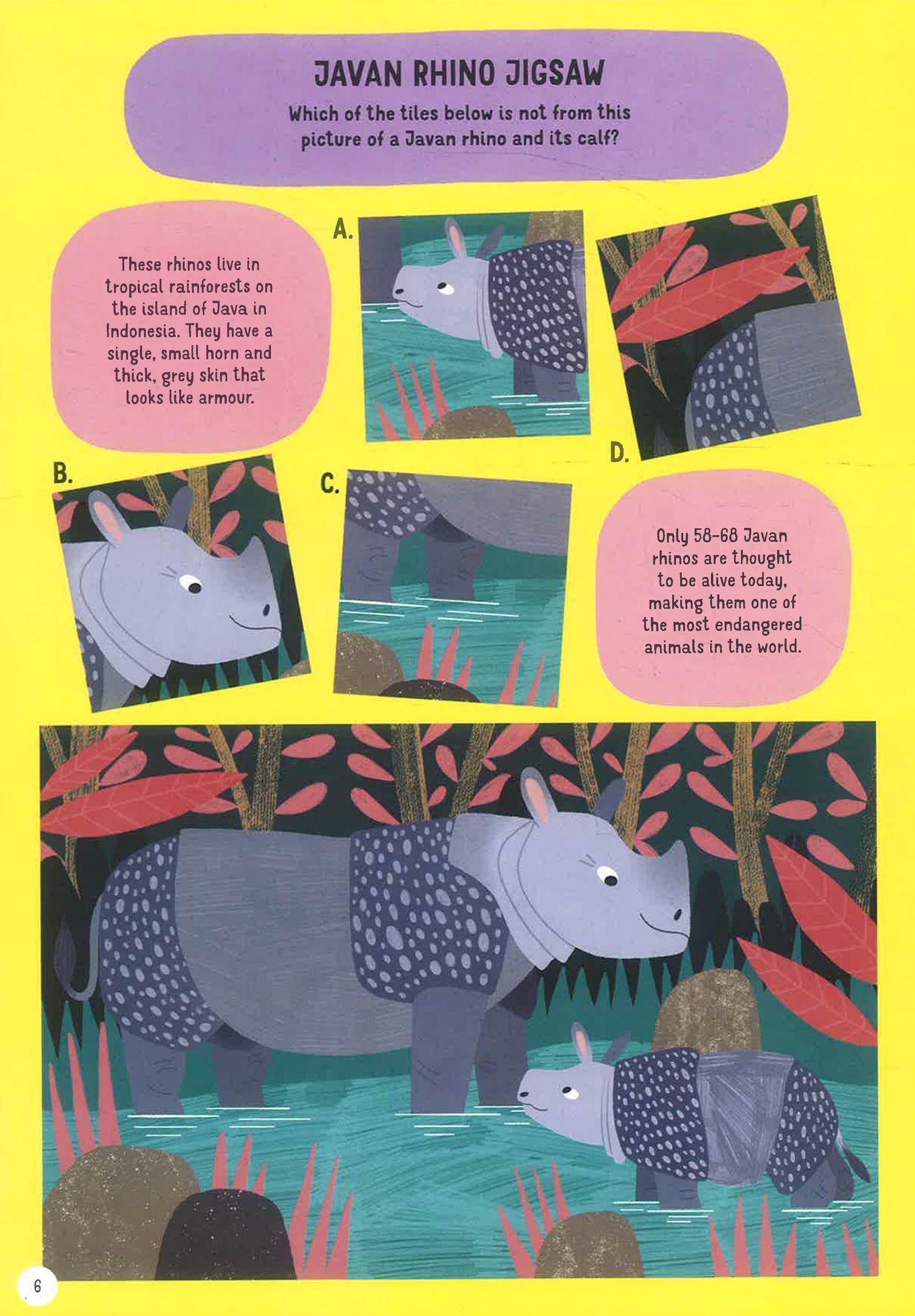 The Big Animal Activity Book – BookXcess