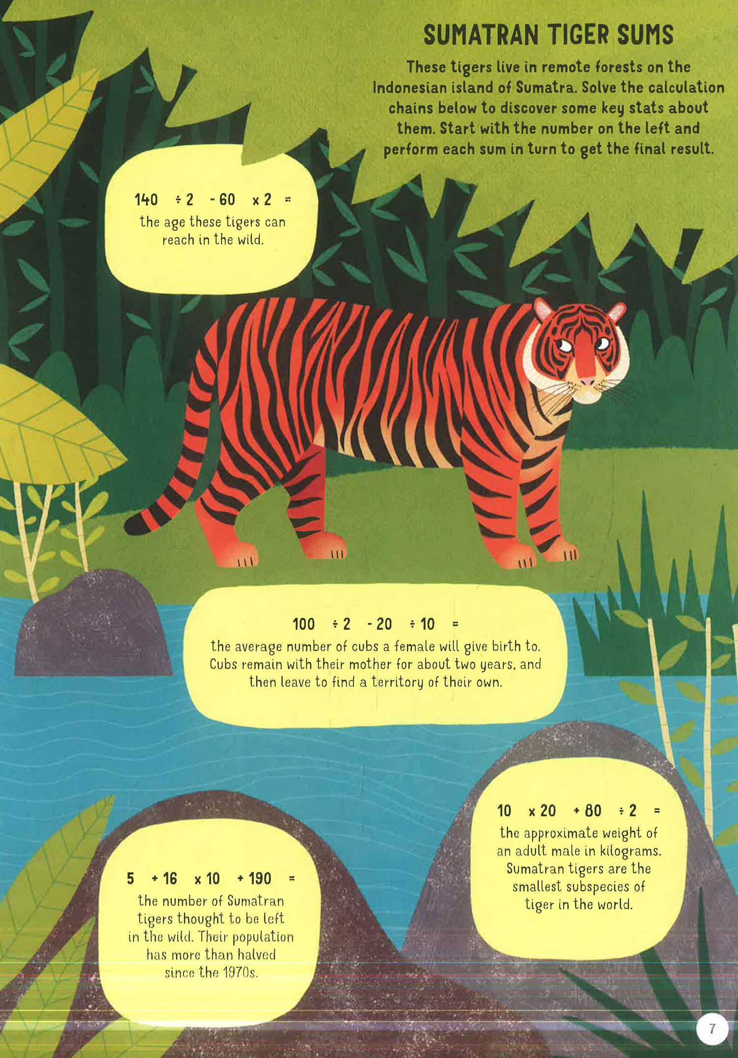 The Big Animal Activity Book – BookXcess