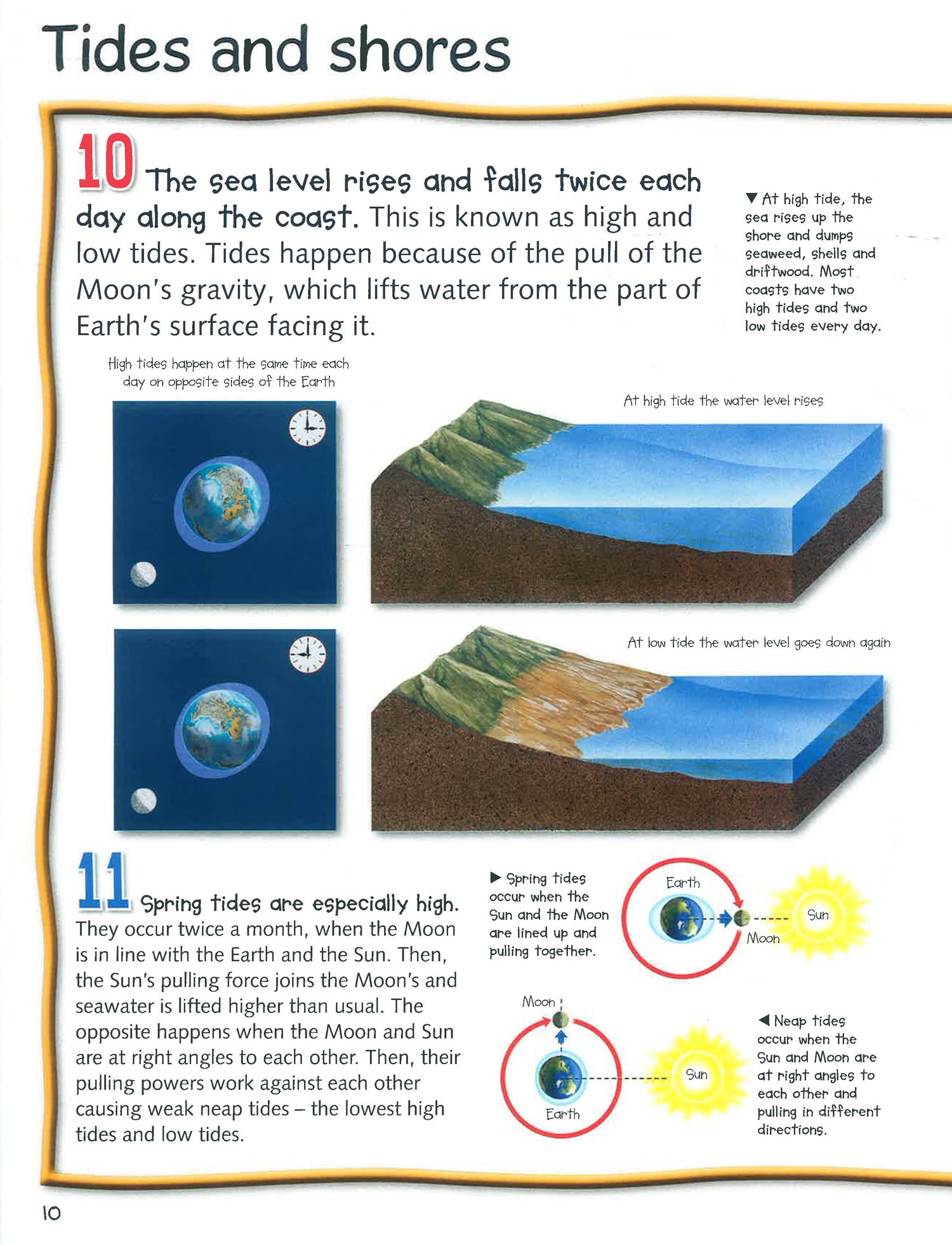 100 Facts Oceans – BookXcess