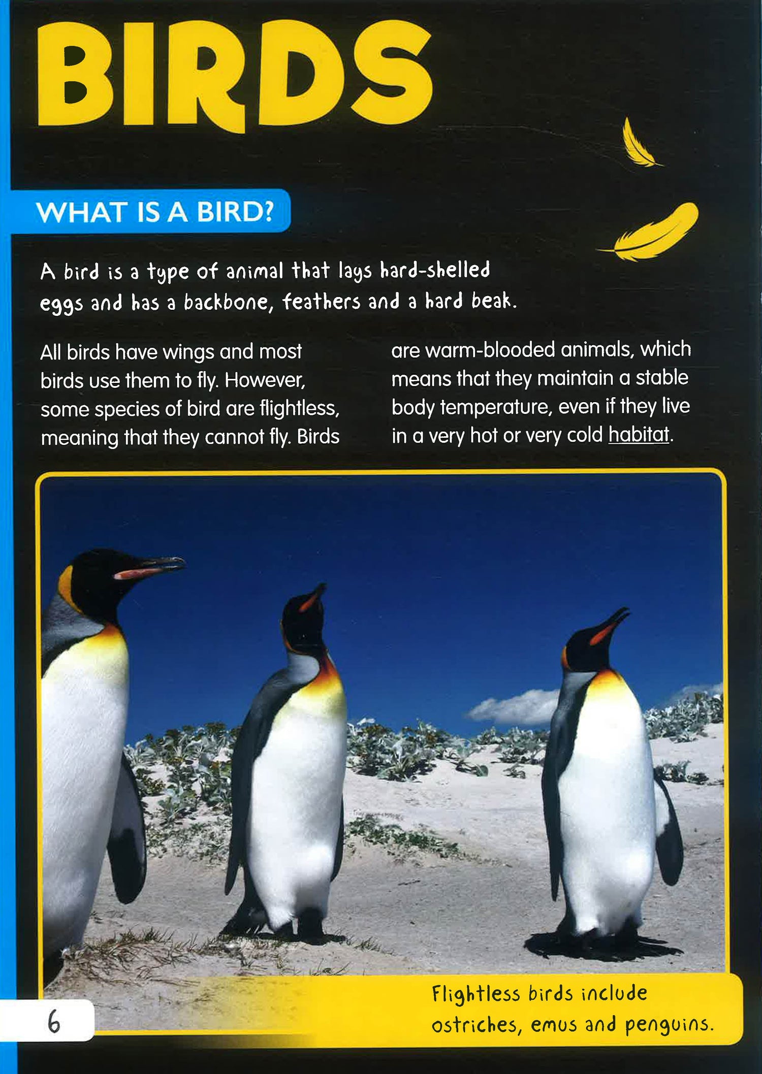 Animal Classification: Birds – BookXcess