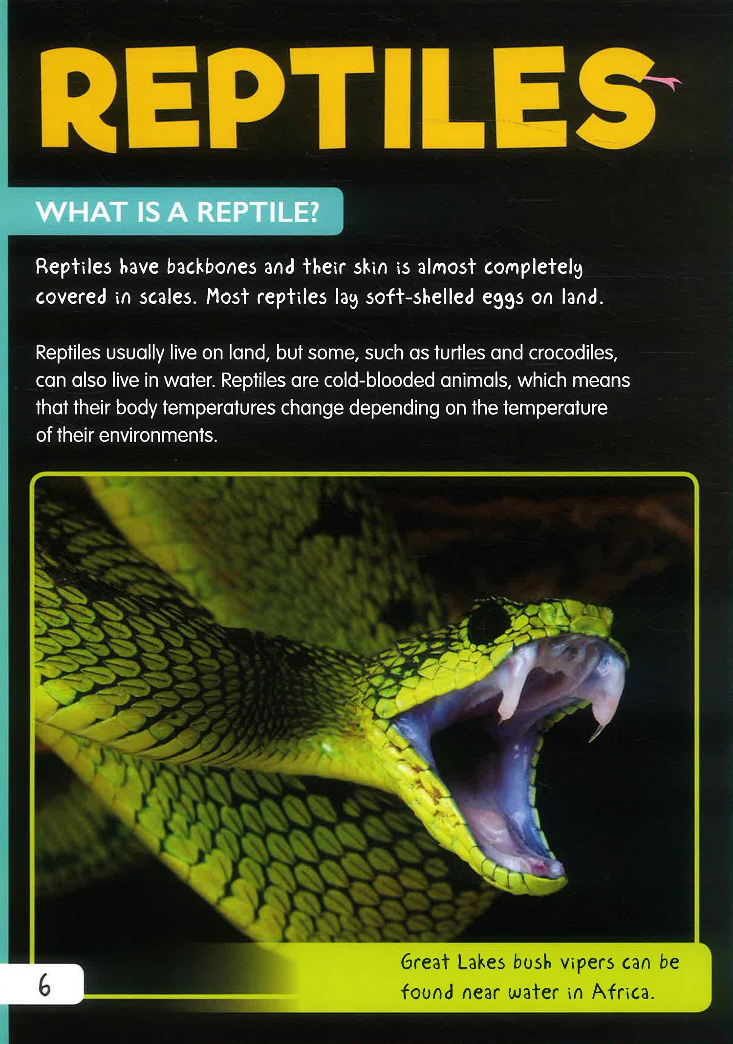 Animal Classification: Reptiles – BookXcess
