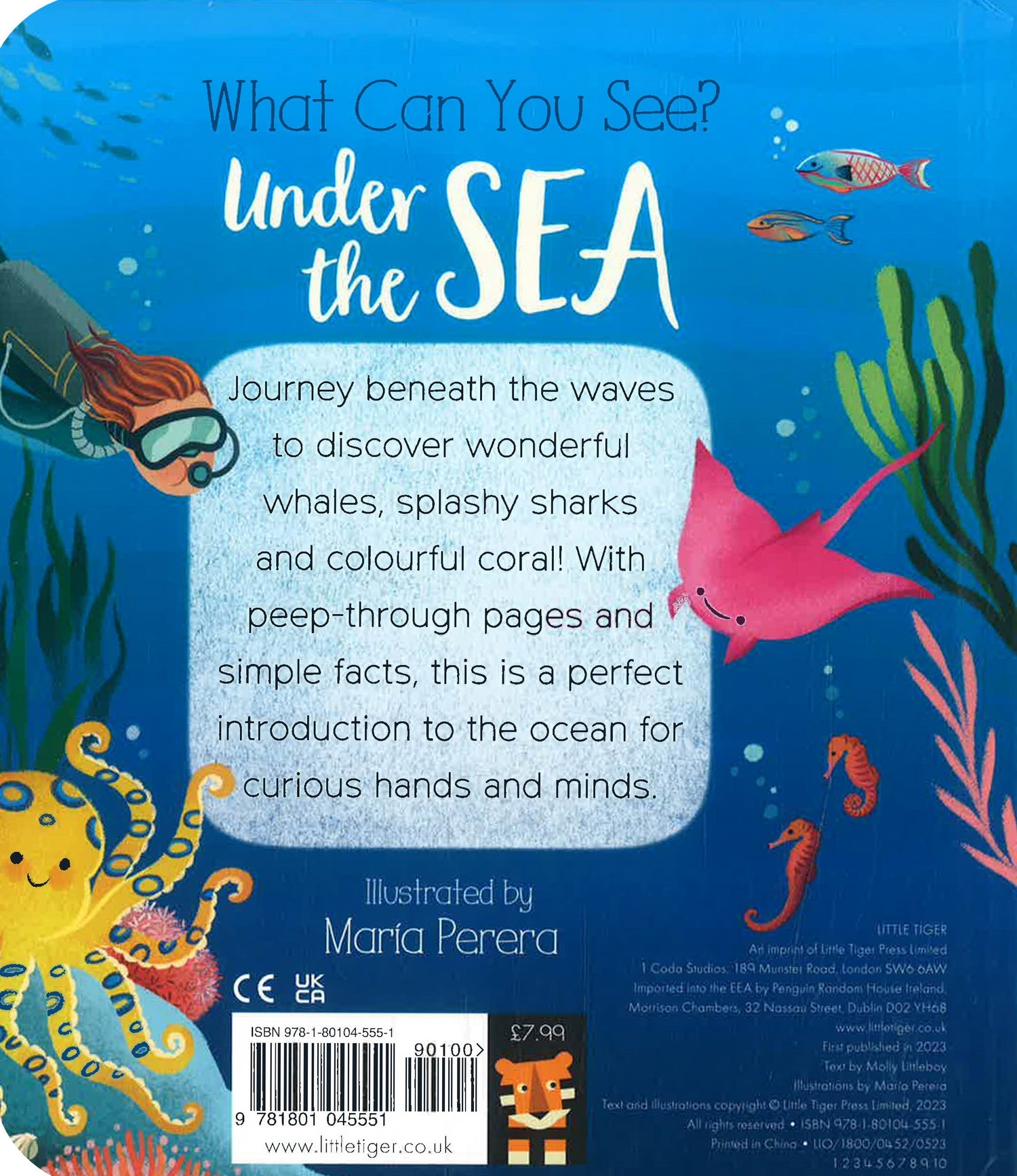 What Can You See? Under the Sea – BookXcess