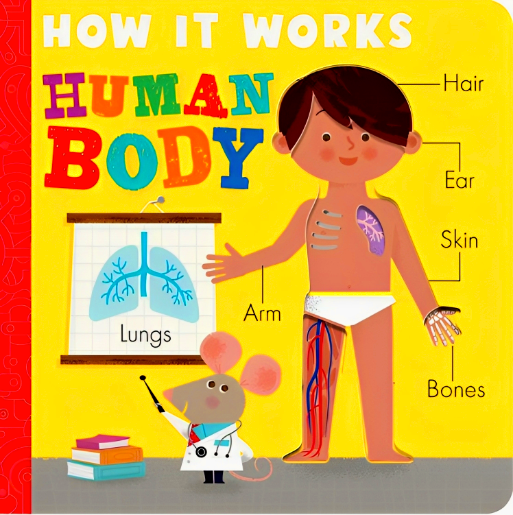 How It Works: Your Body – BookXcess