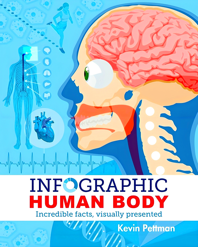 Infographic Human Body – BookXcess
