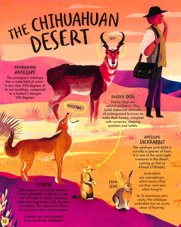 As Large As Life – BookXcess