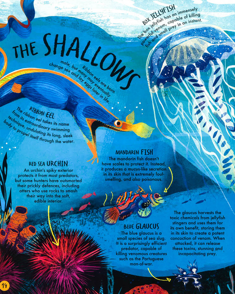 As Large As Life – BookXcess