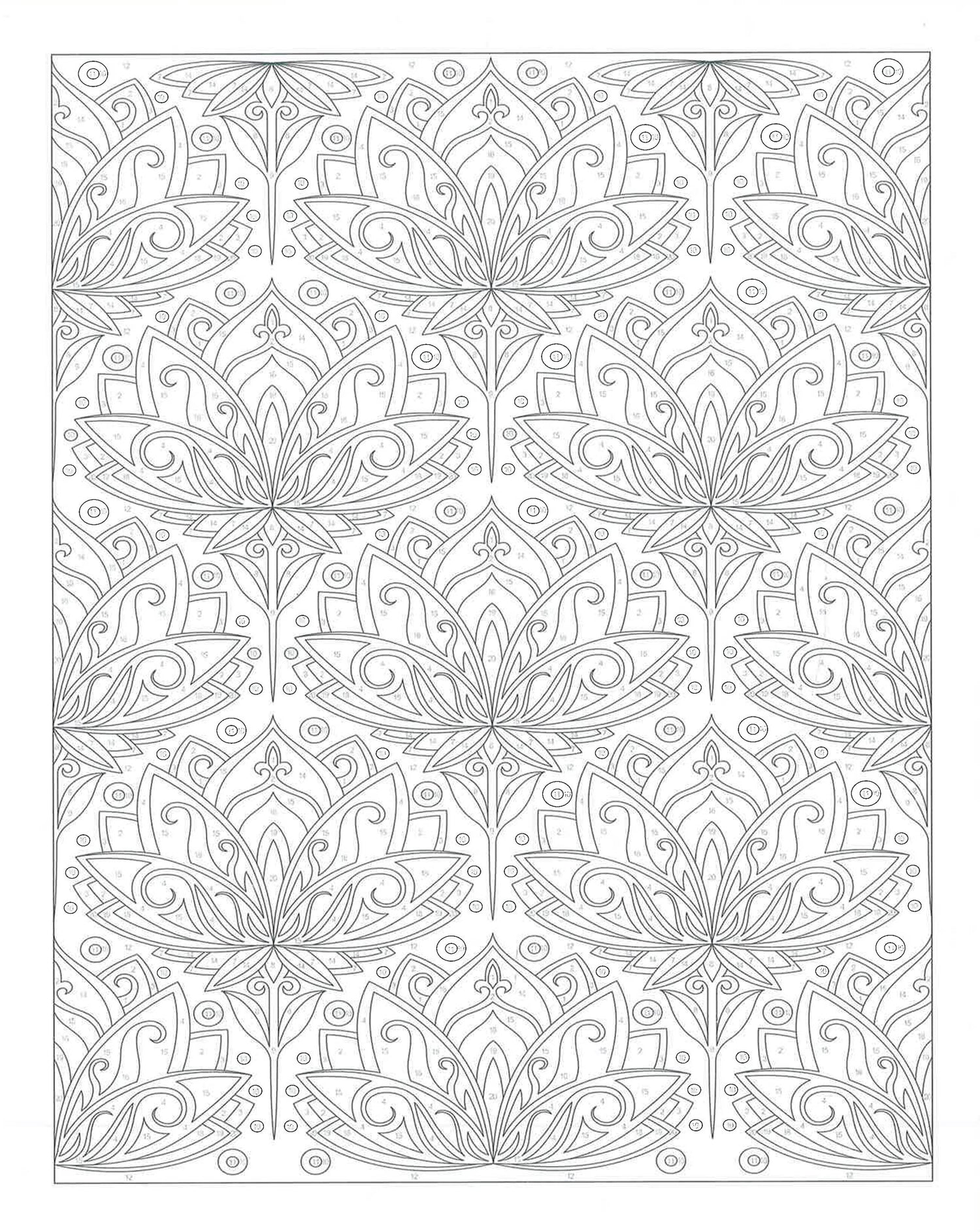 Mindfulness Color By Numbers – BookXcess