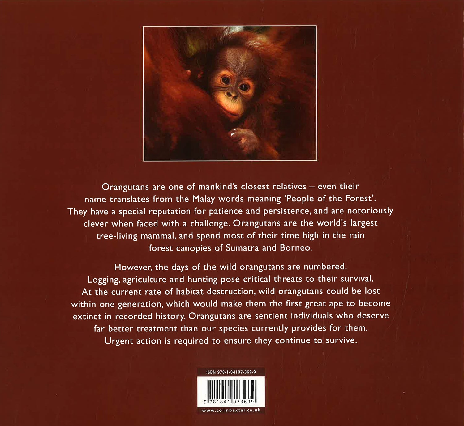 World Life Library: Orangutans – BookXcess