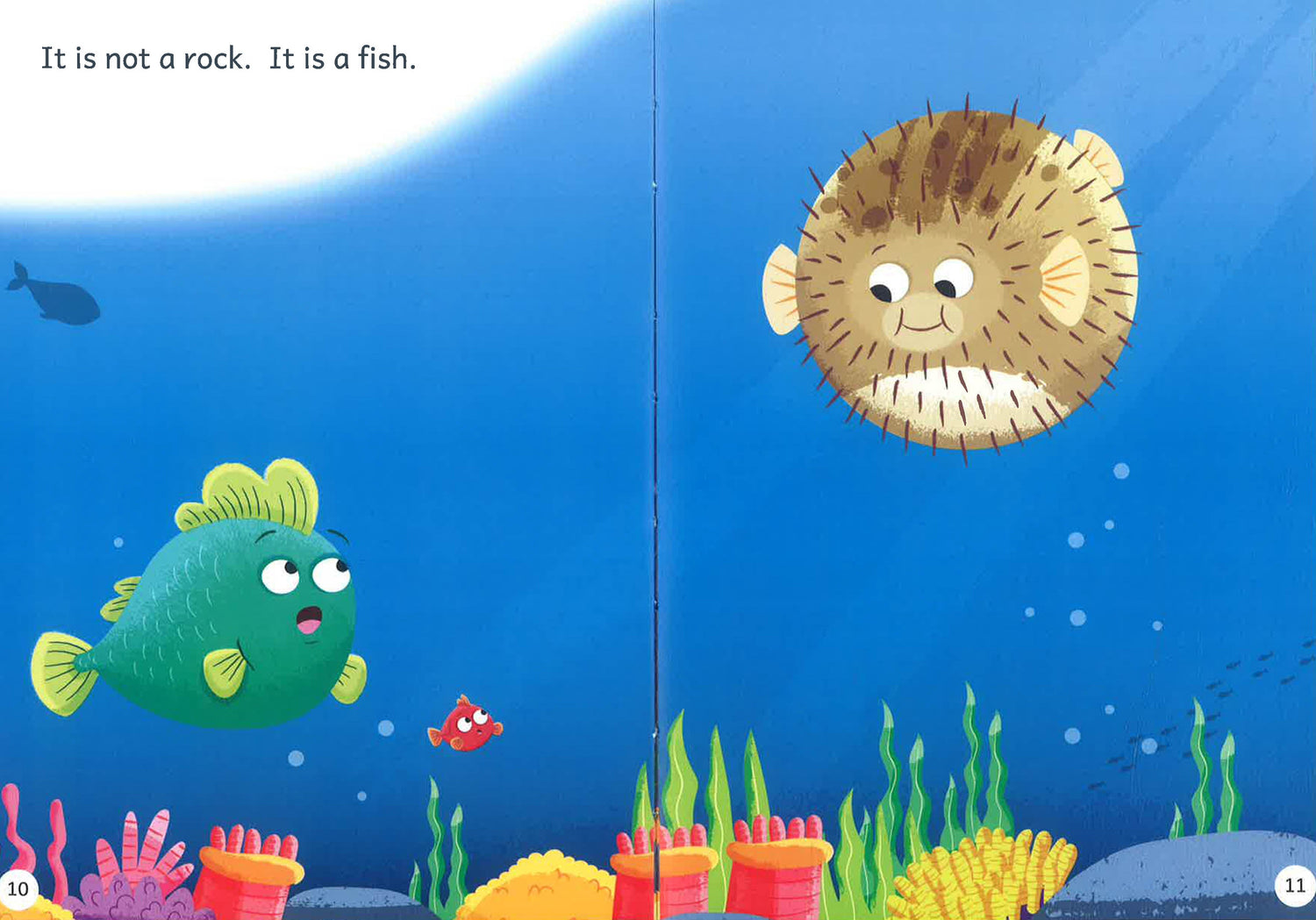 Little Fish And Big Fish (Early Reader) – BookXcess