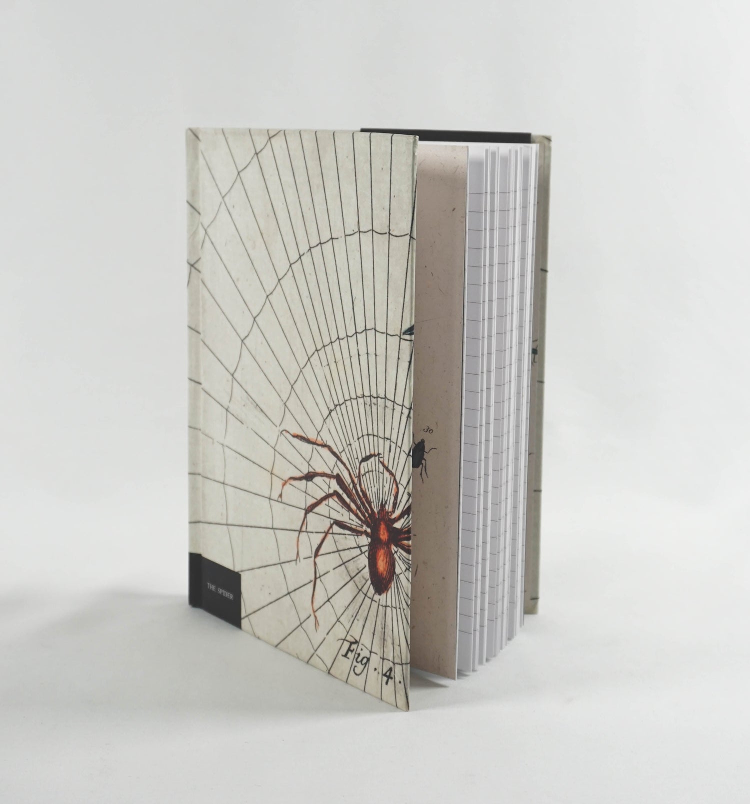 The Spider Notebook – BookXcess