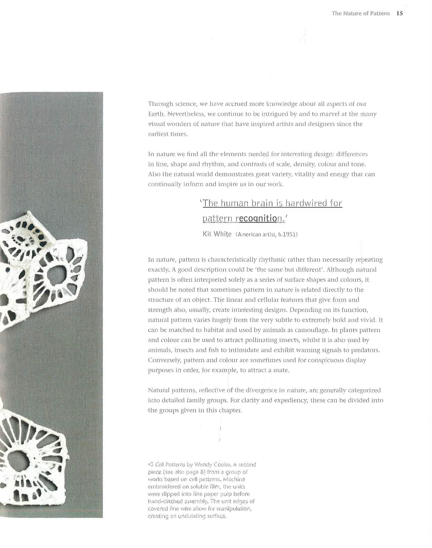 Stitch And Pattern – BookXcess