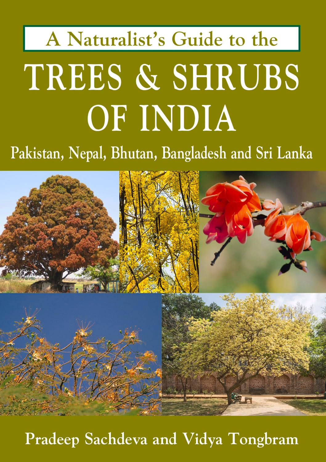 A Naturalist's Guide to the Trees & Shrubs of India (Naturalist's Guid ...