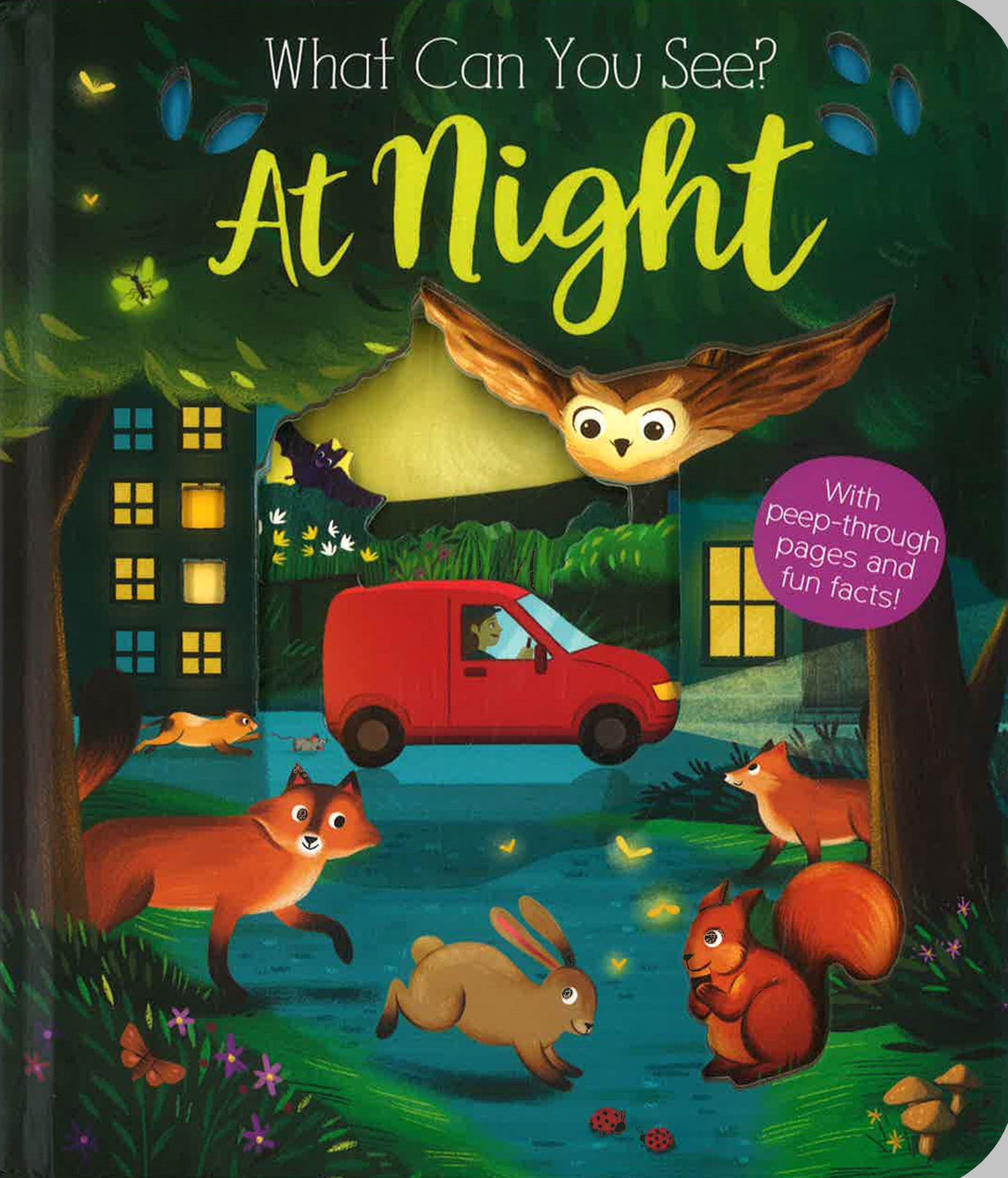 What Can You See?: At Night – BookXcess