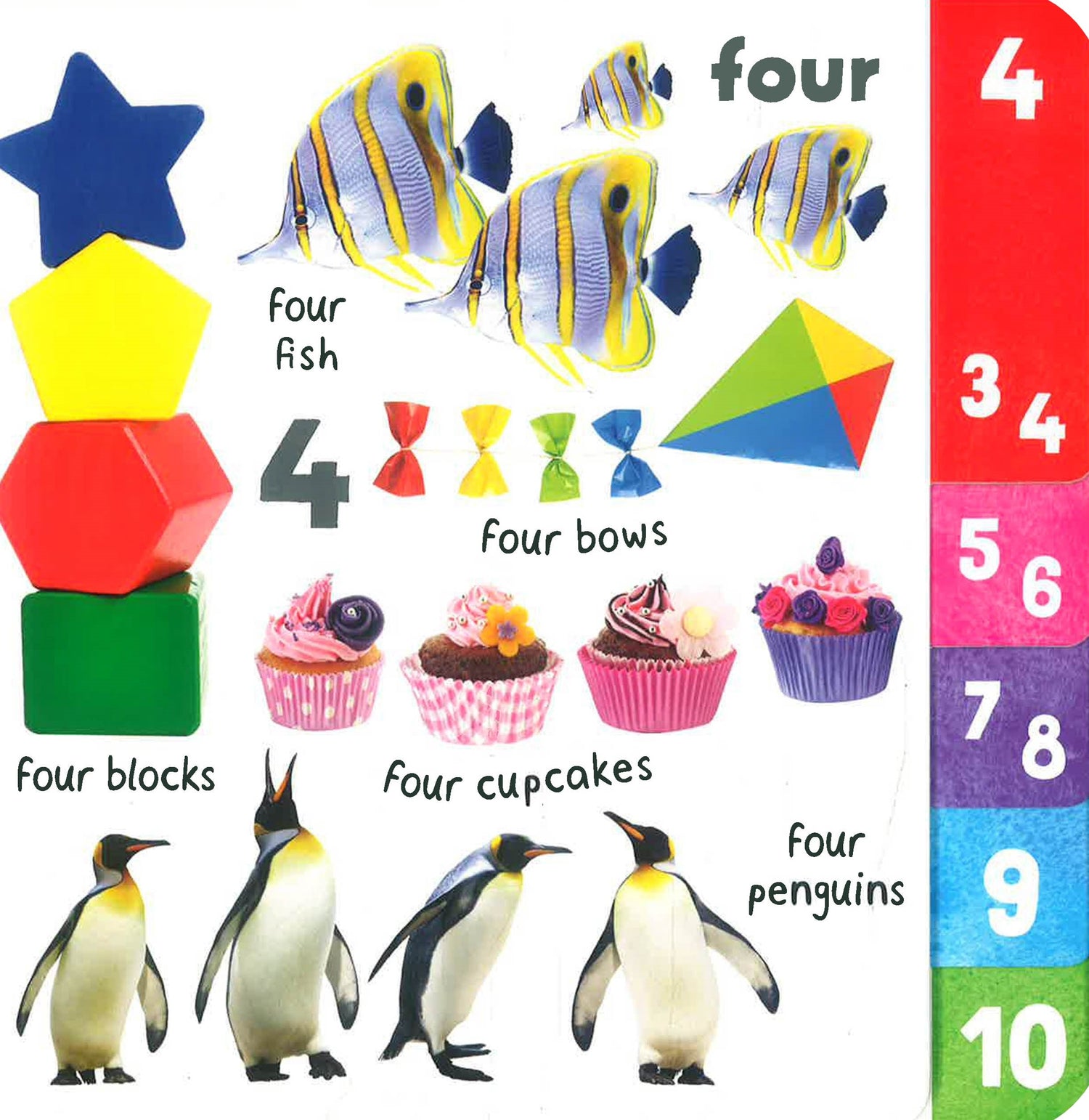 What's That? Numbers – BookXcess