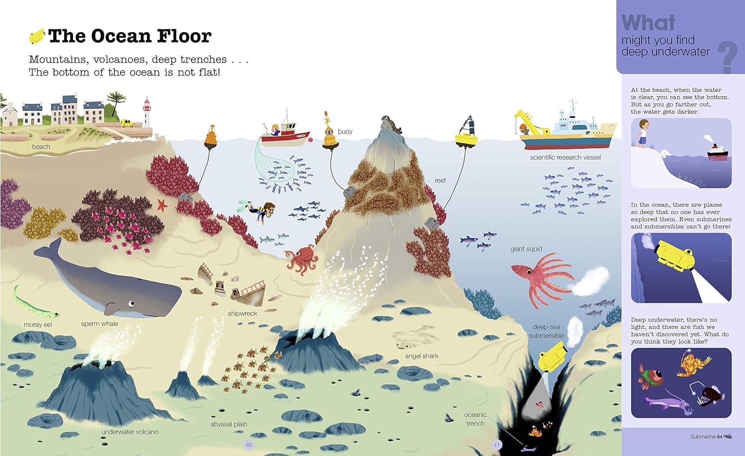 Do You Know?: Oceans And Marine Life – BookXcess