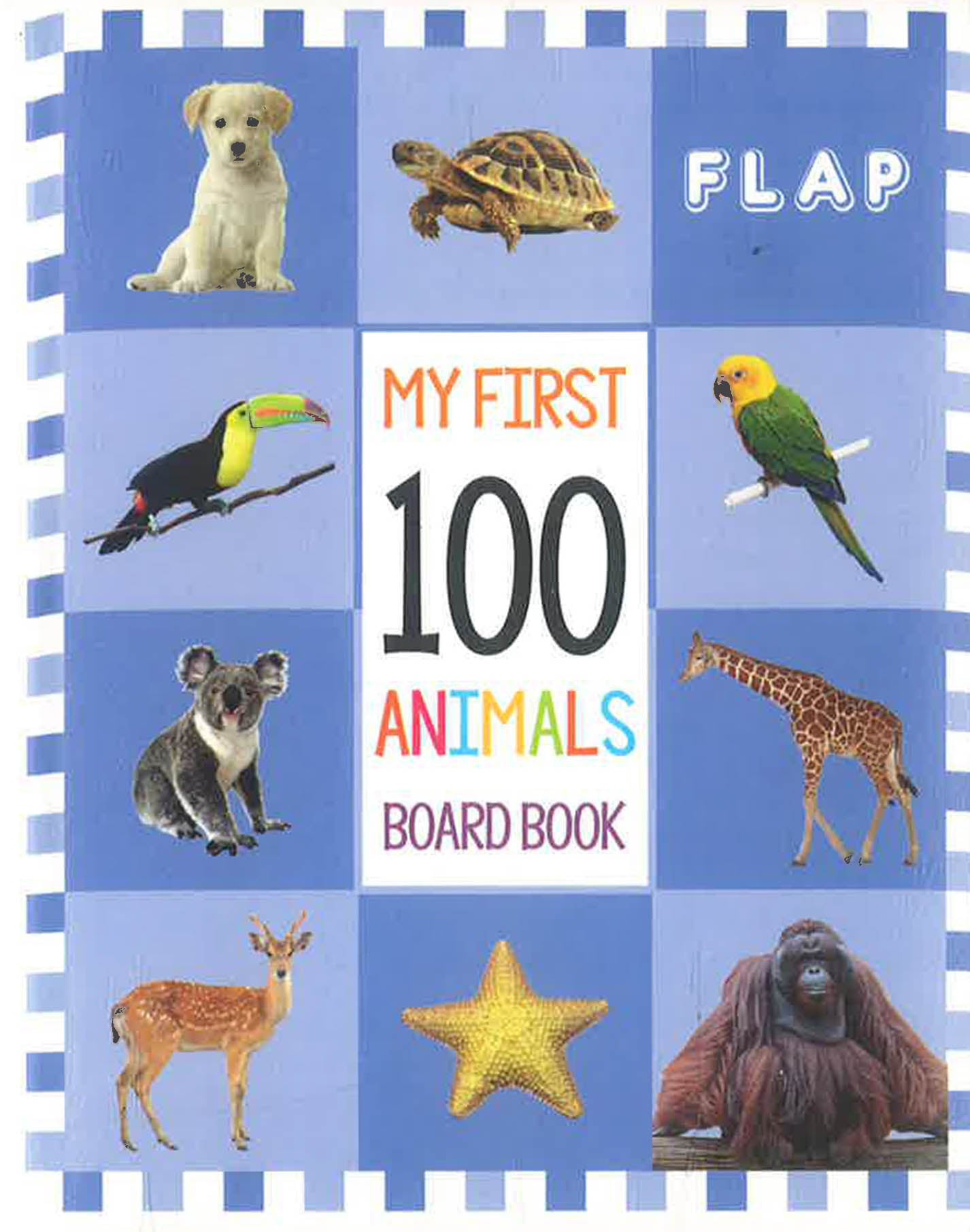 Flap - My First 100 Board Book - Animals – BookXcess