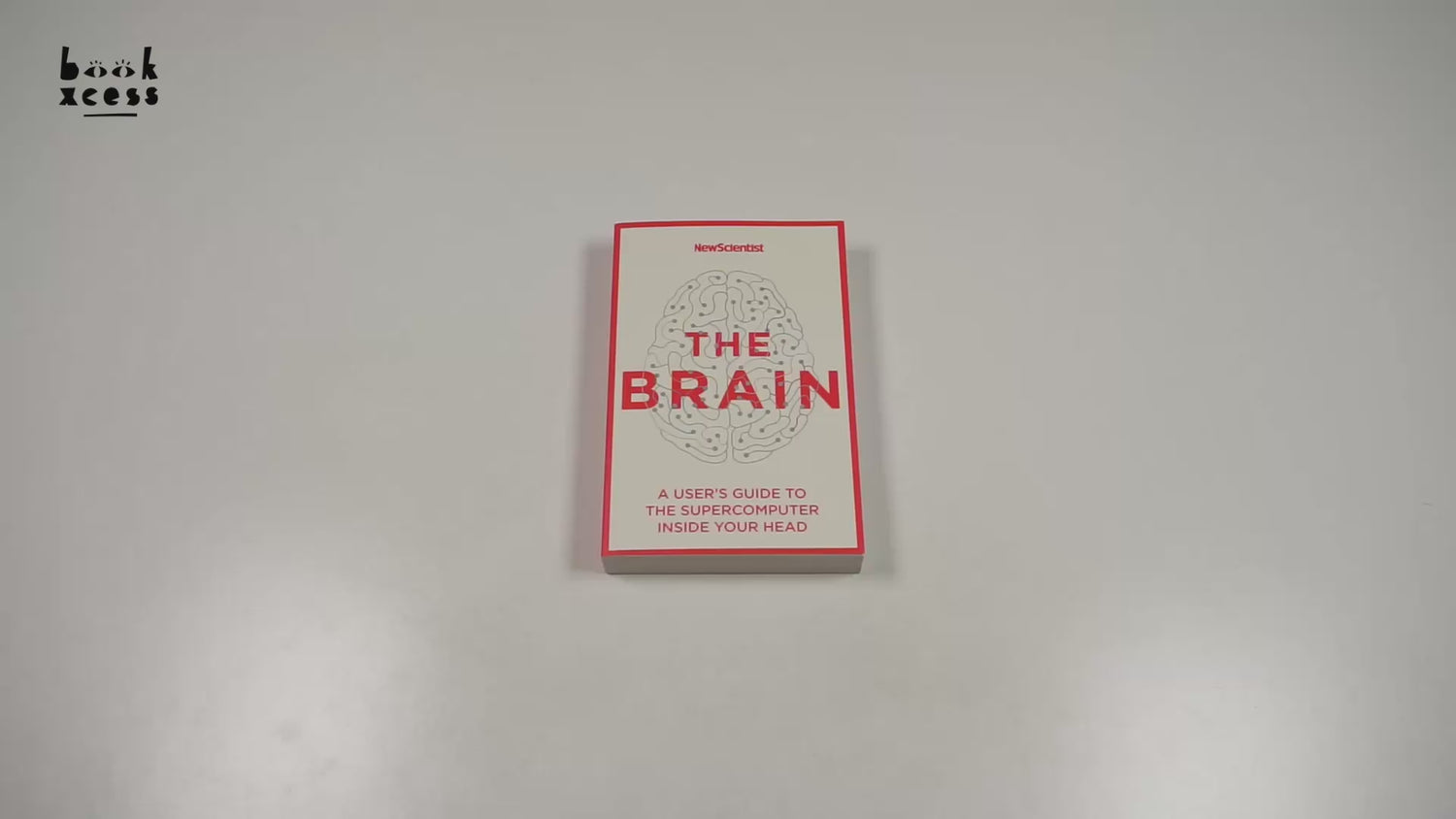 The Brain: Everything You Need To Know – BookXcess