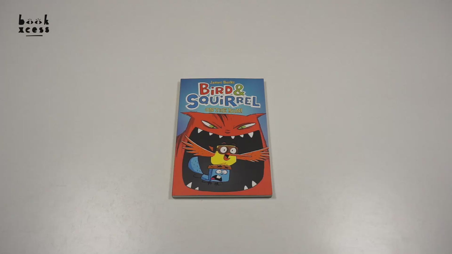 Bird & Squirrel On The Run – BookXcess