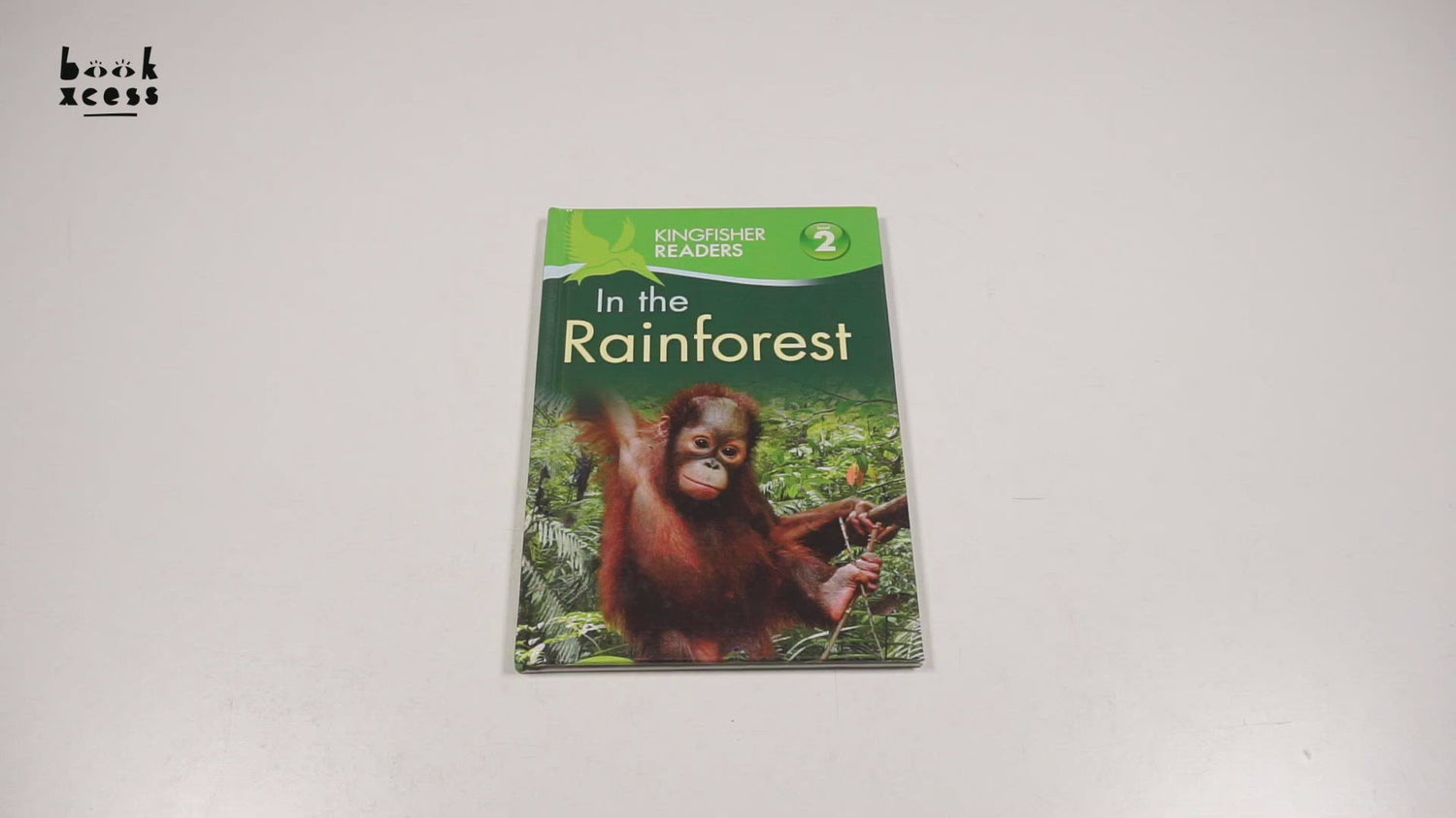 In The Rainforest – BookXcess