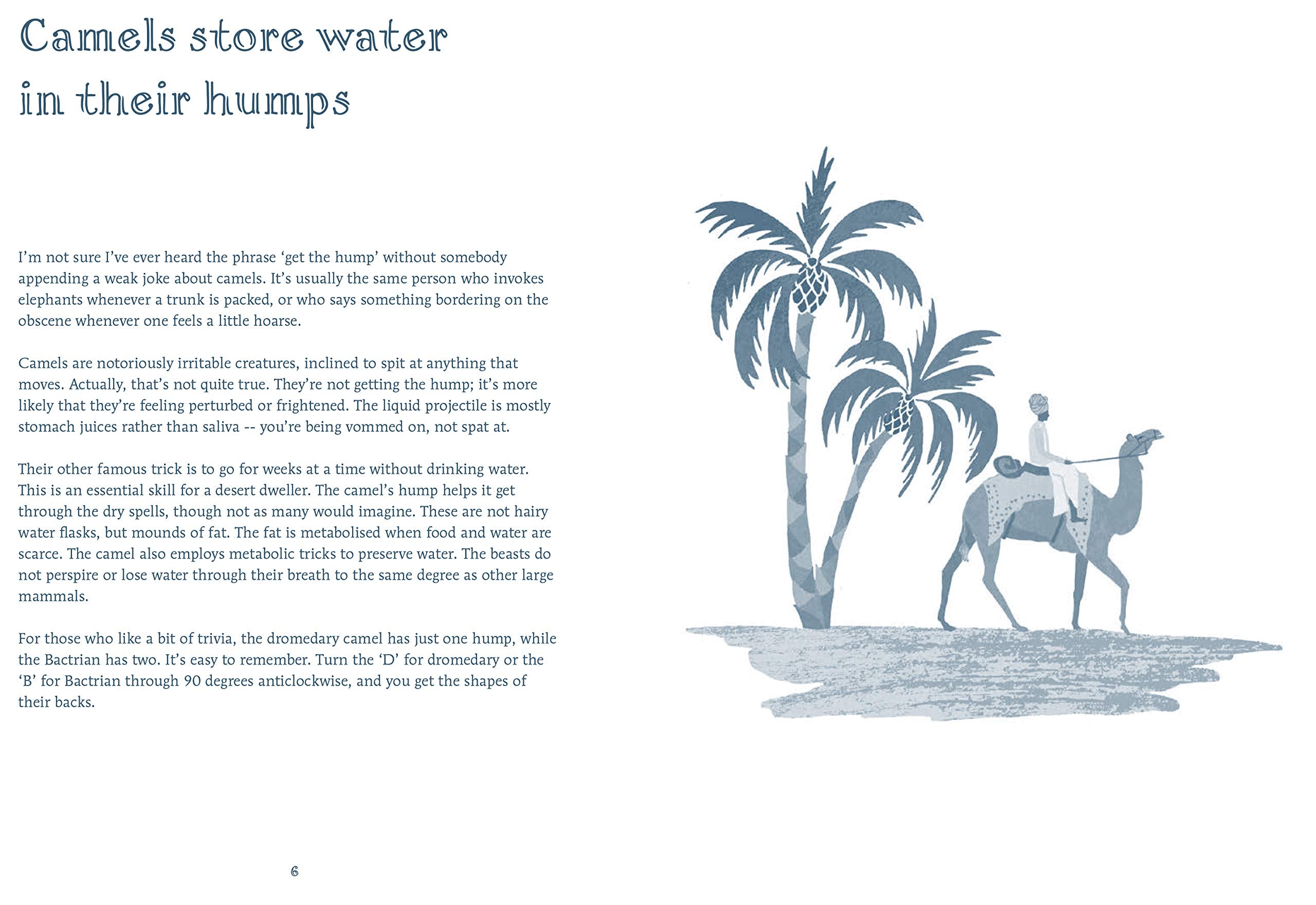 Everything You Know About Animals Is Wrong – BookXcess