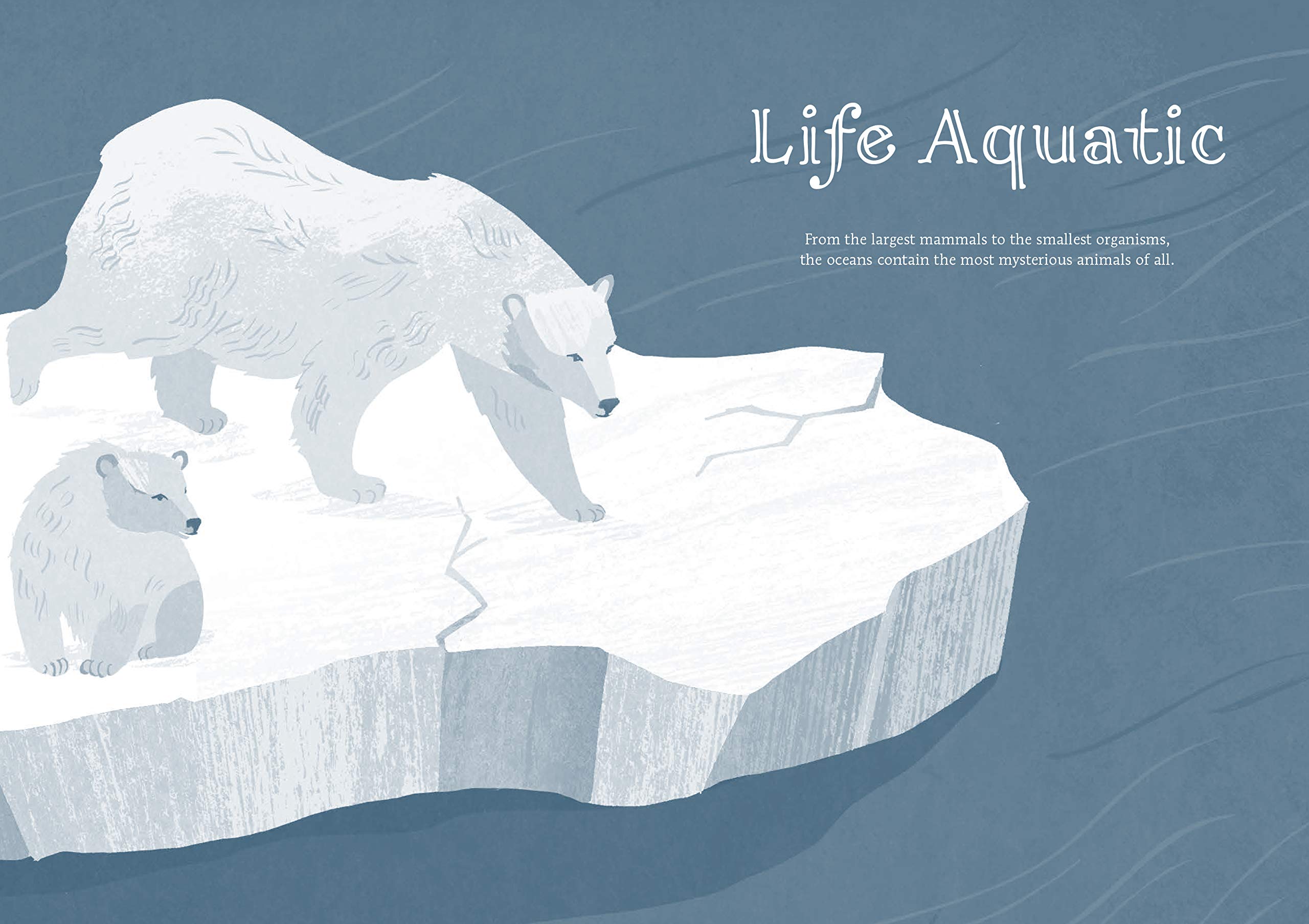 Everything You Know About Animals Is Wrong – BookXcess