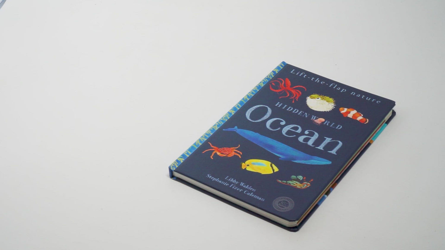 Lift - The - Flap Nature: Hidden World Ocean – BookXcess