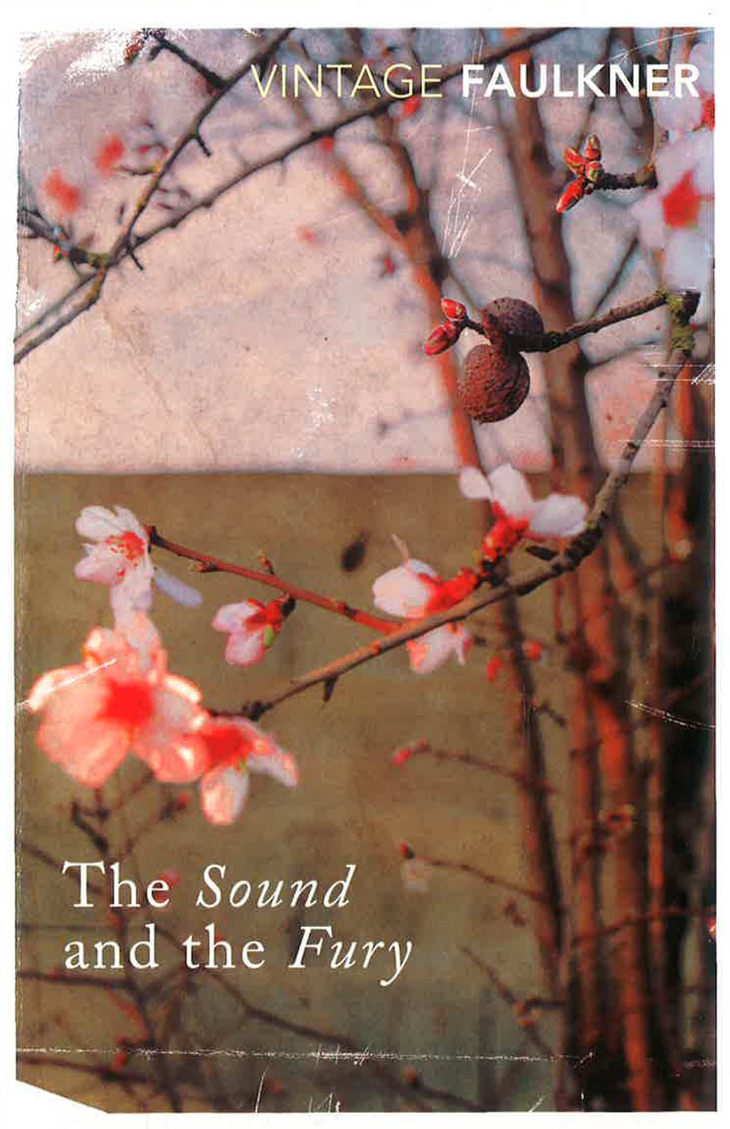VINTAGE FAULKNER: SOUND & THE FURY – BookXcess