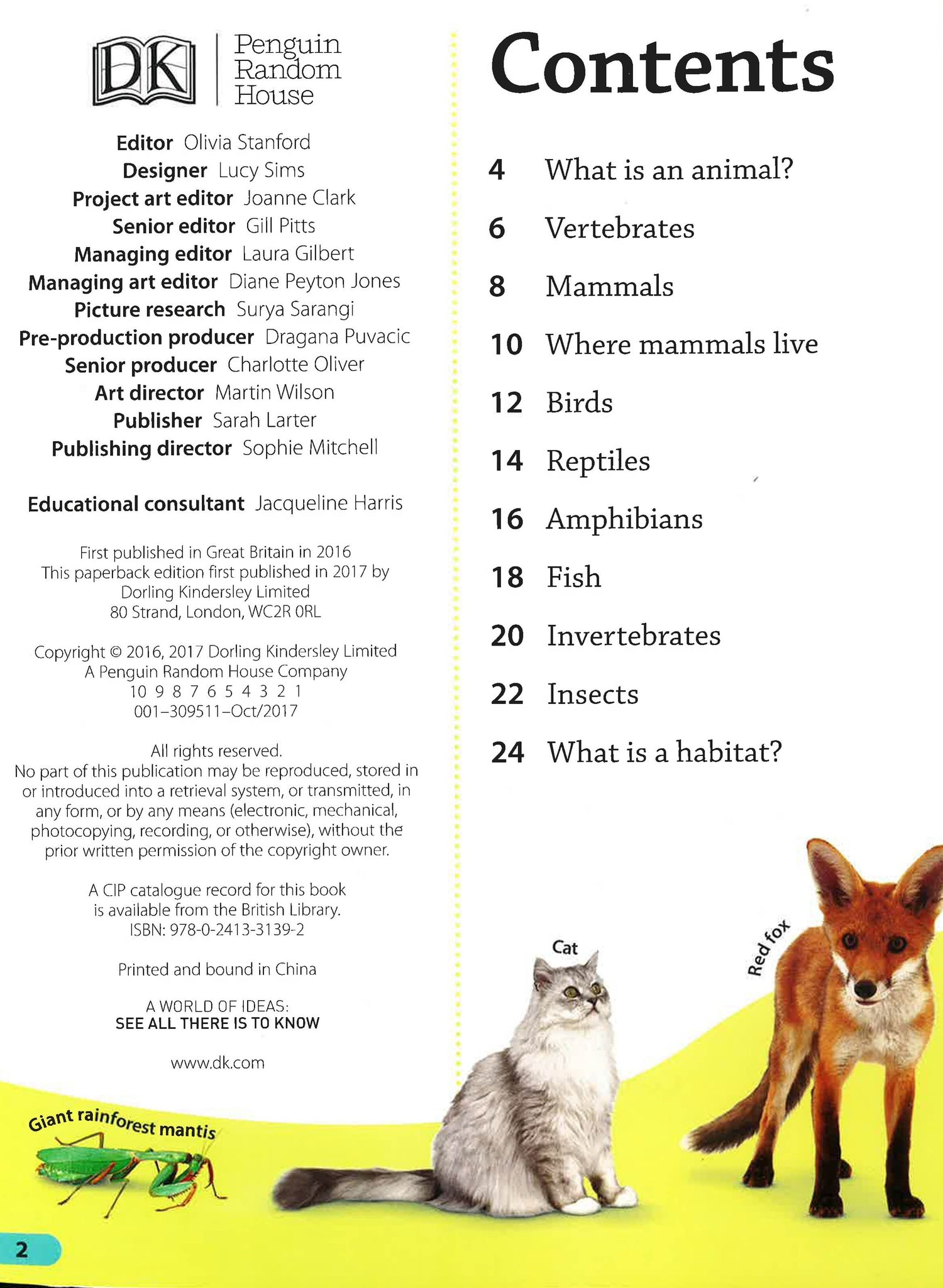 Find Out!: Animals – BookXcess