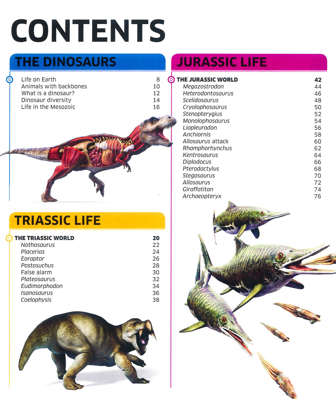 Knowledge Encyclopedia Dinosaur! – BookXcess